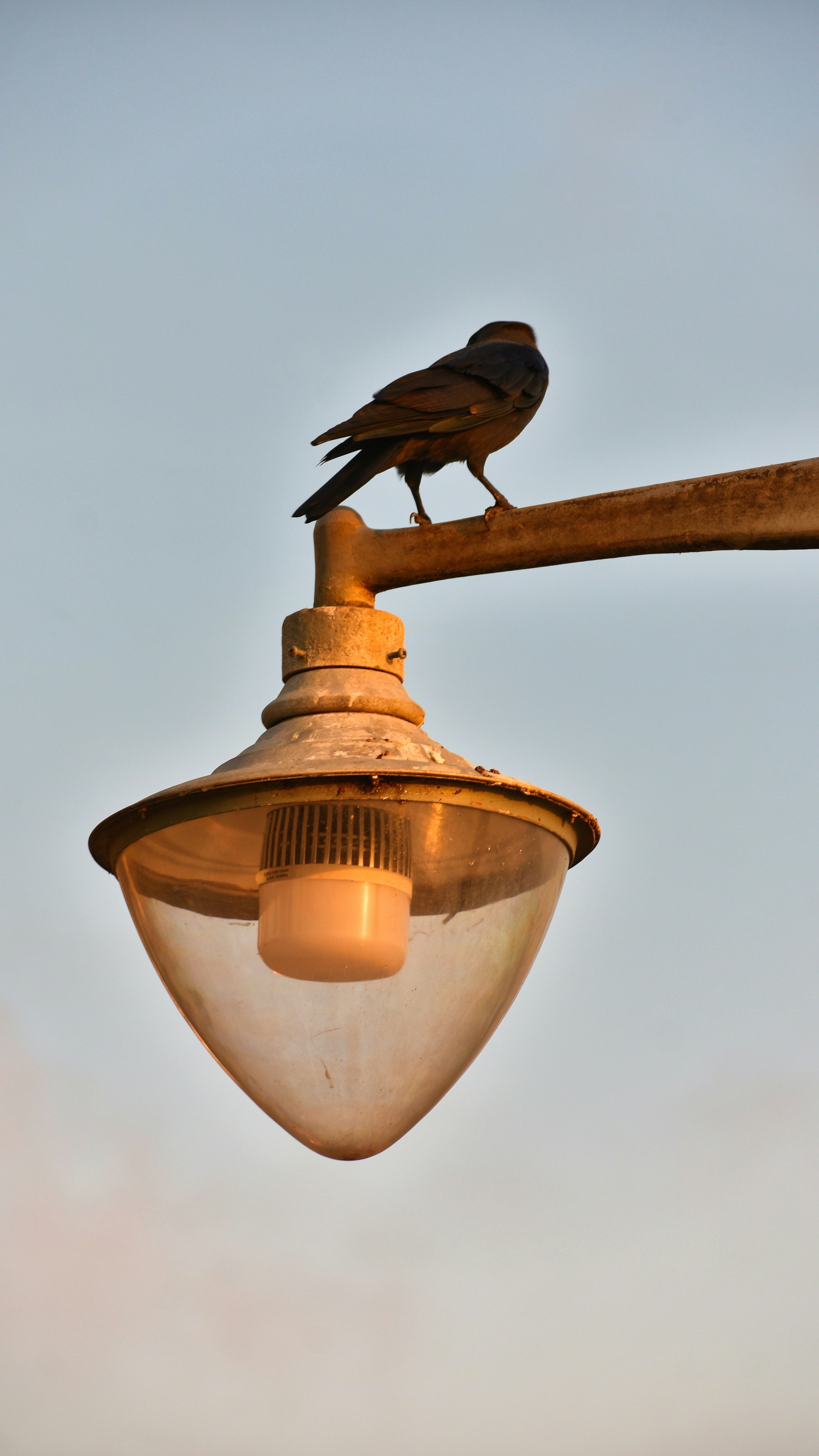 Photo by Vivek with Nikon D3400