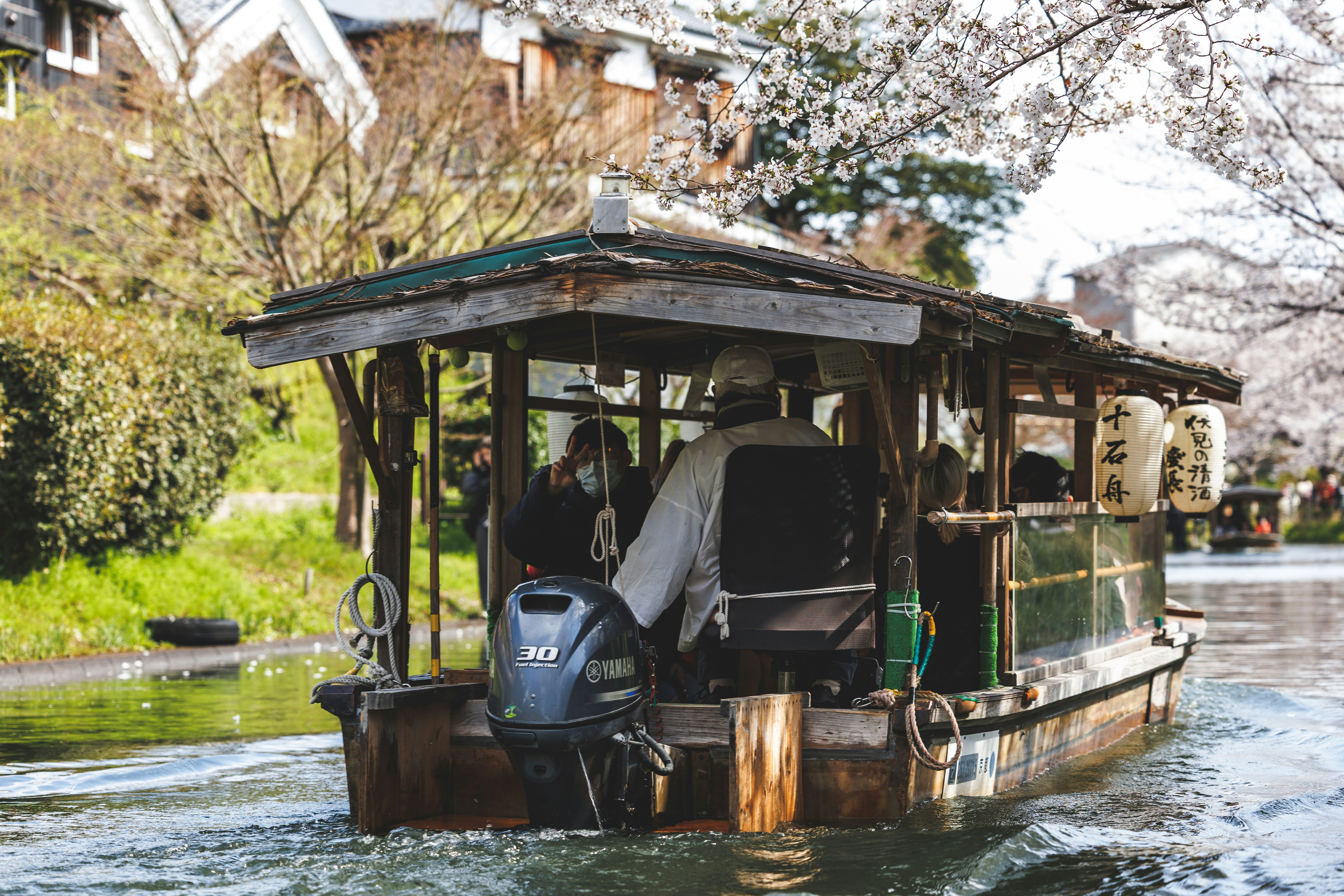 Sakura Canal: A Wooden Boat Drift Through Spring Light