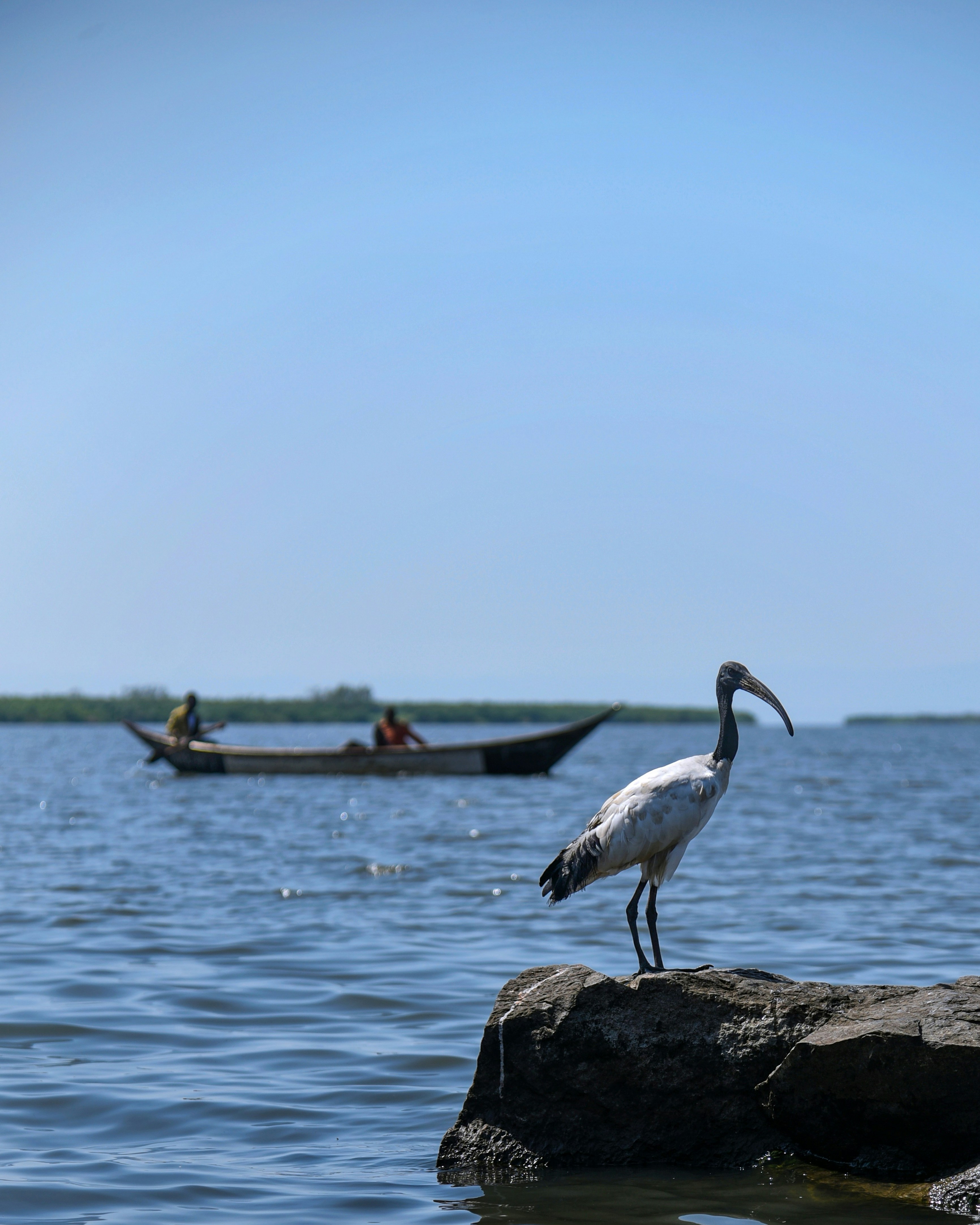 A bird watches a boat on the lake.