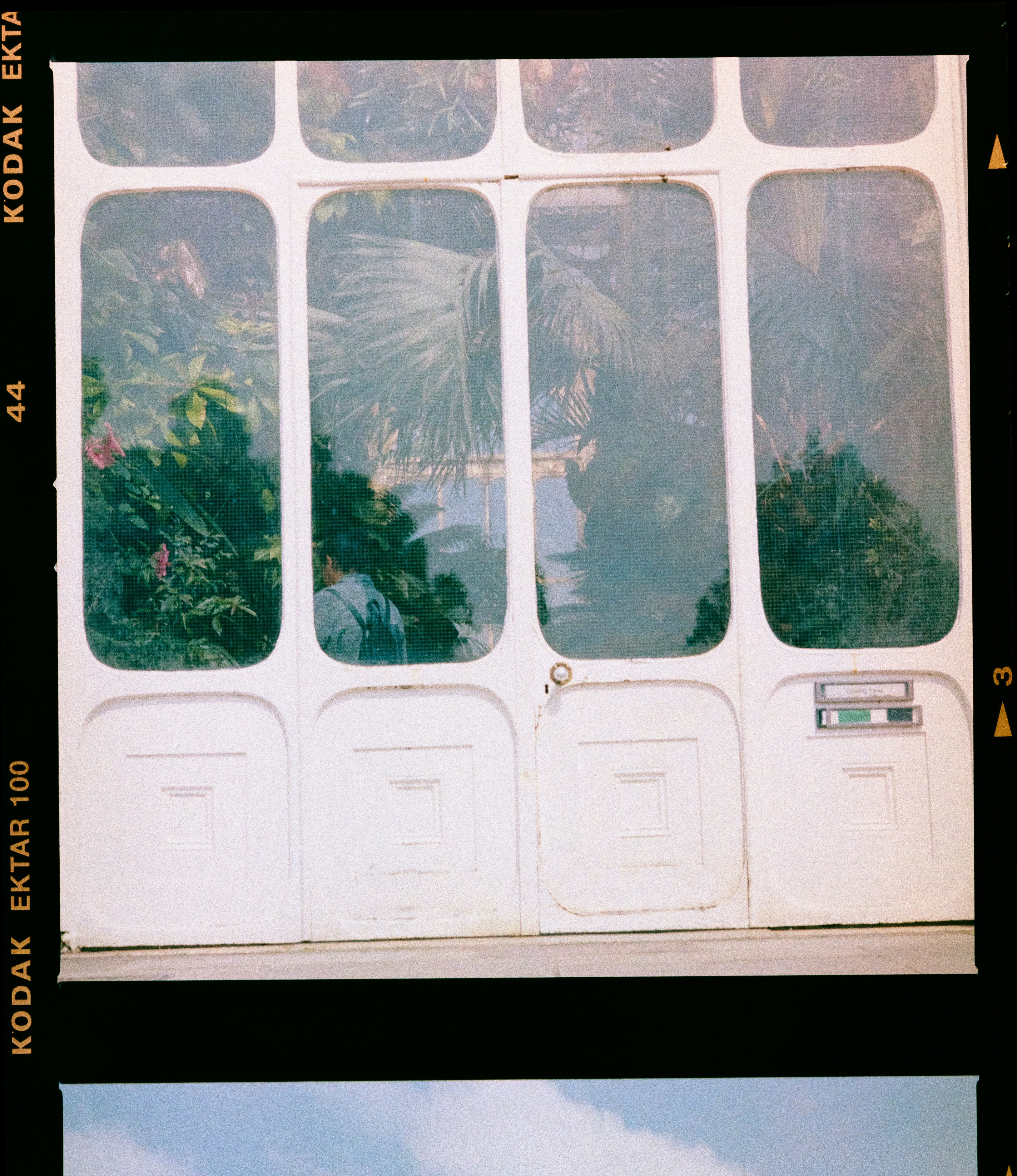 Whispers of Nature Behind Glass