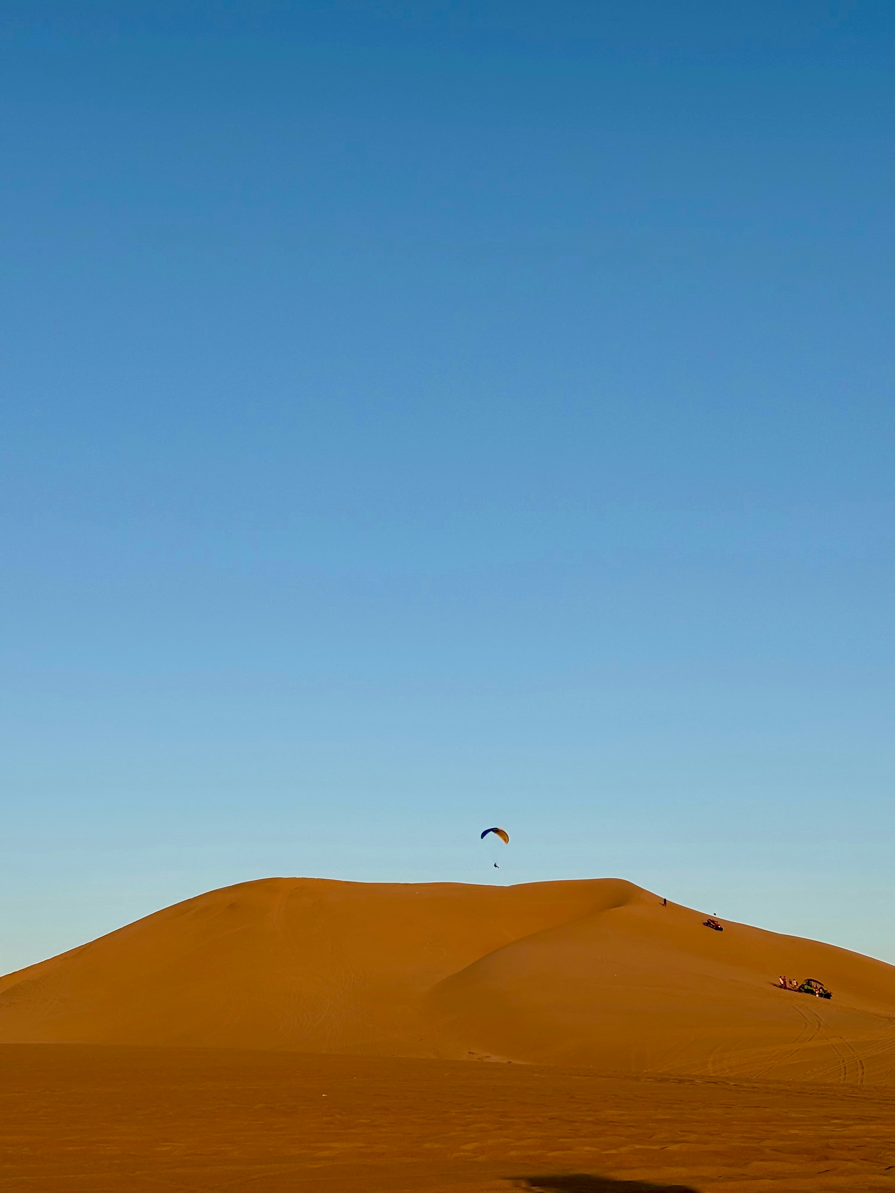 Soaring Above the Golden Dunes
