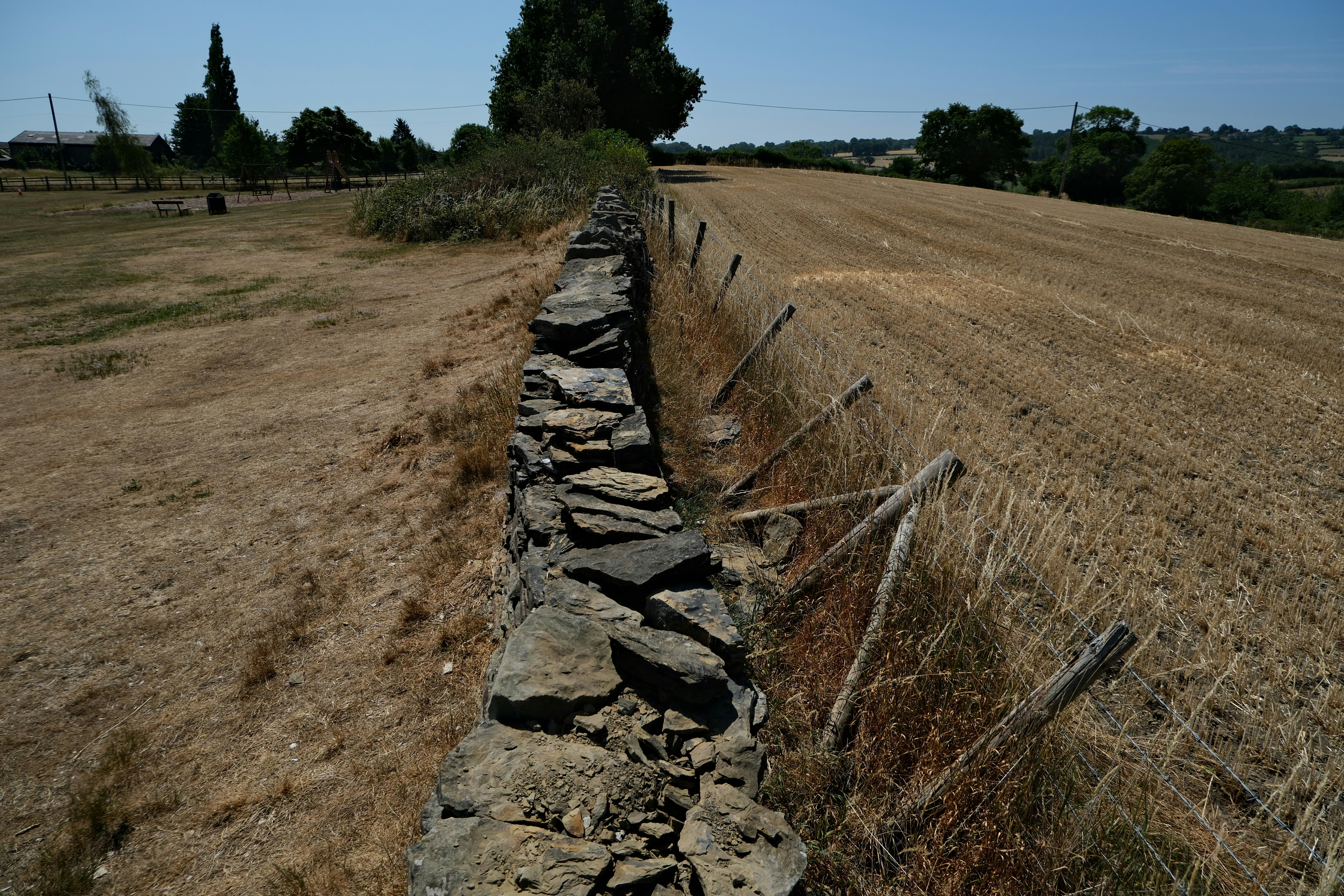 The Enduring Boundary: A Stone Wall's Tale