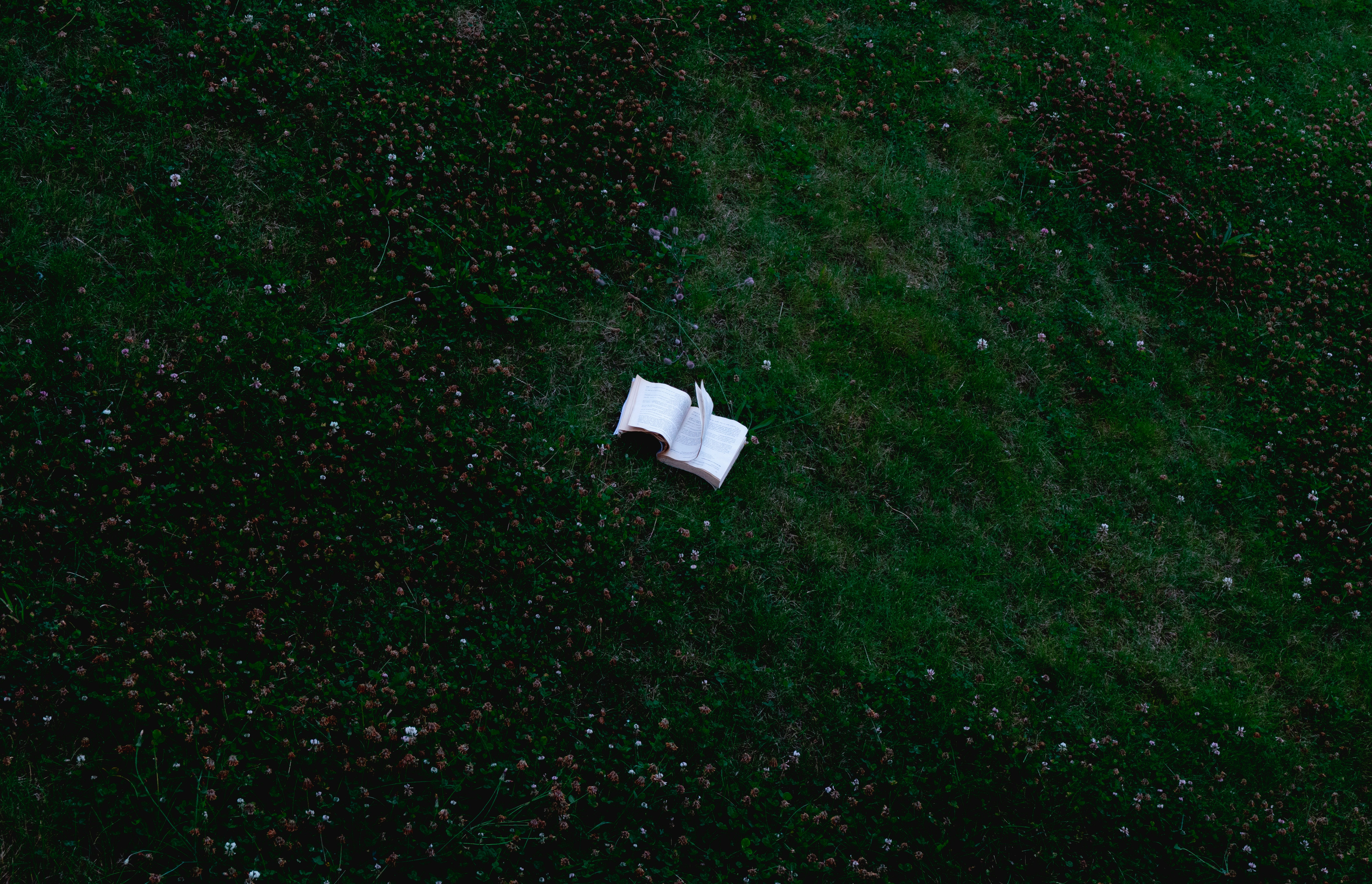 An open book lies on a green lawn.