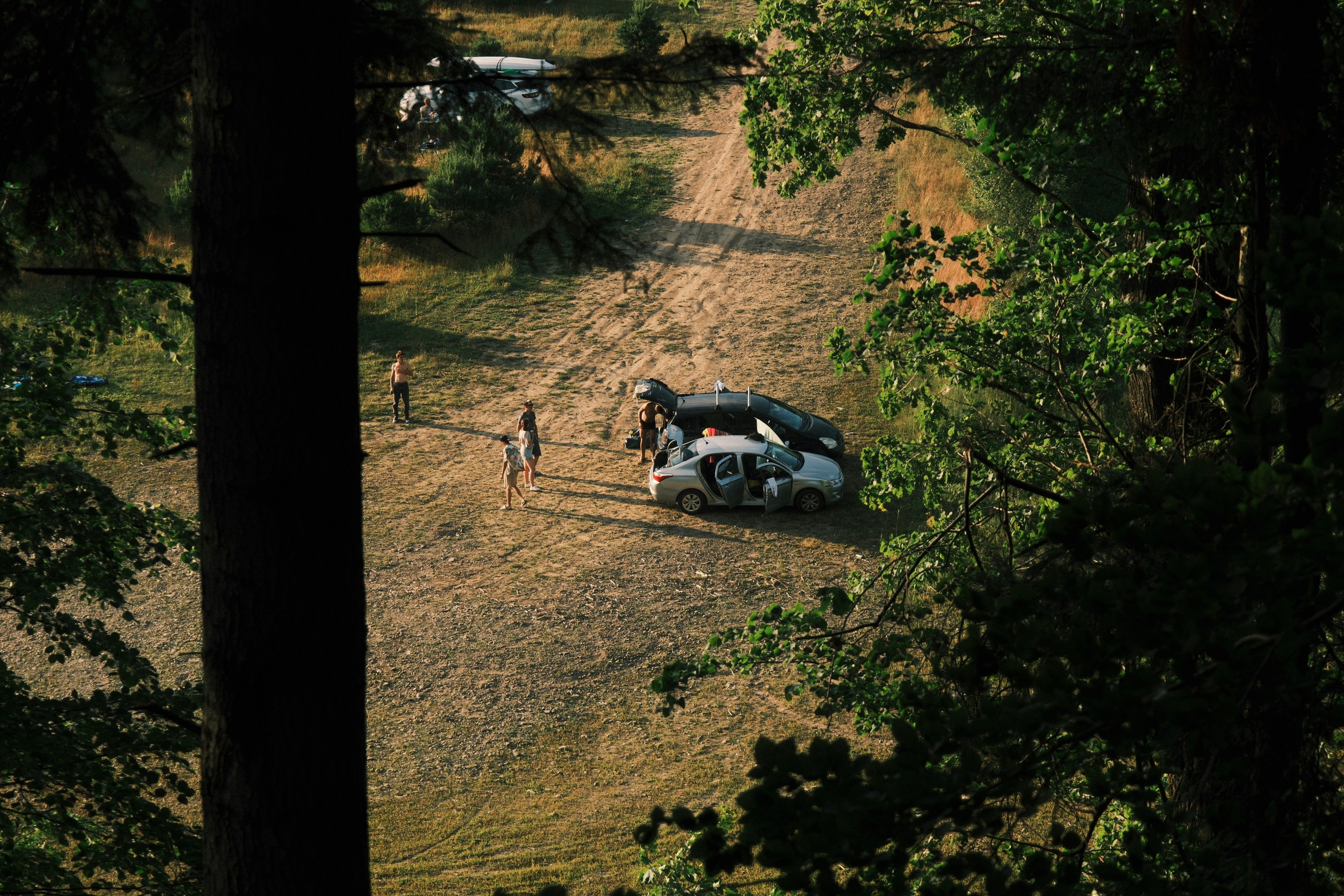 Serenity in the Wilderness: A Gathering at Dusk