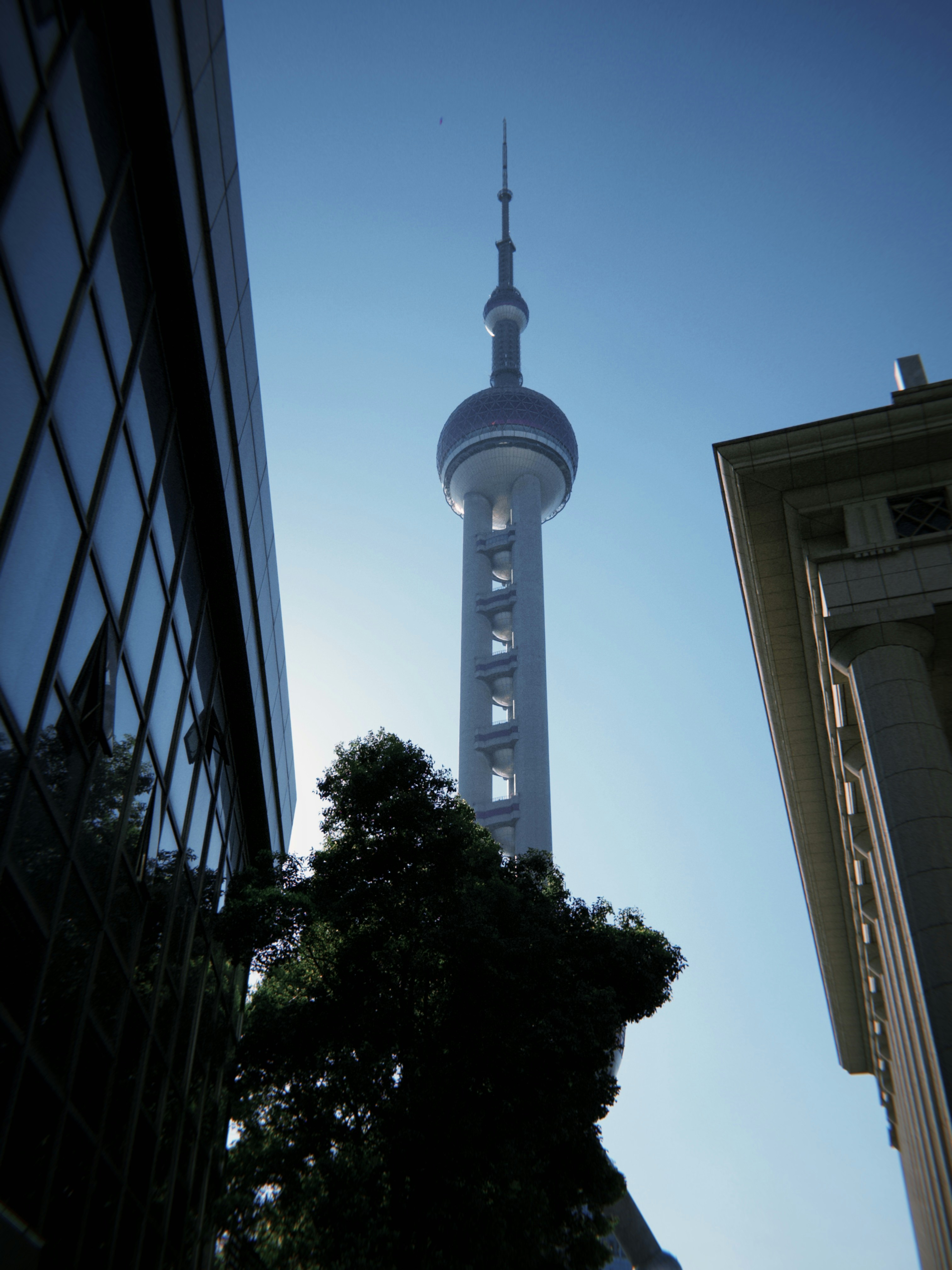Skyward Needle: The Shanghai Tower Cut from Ground to Sky