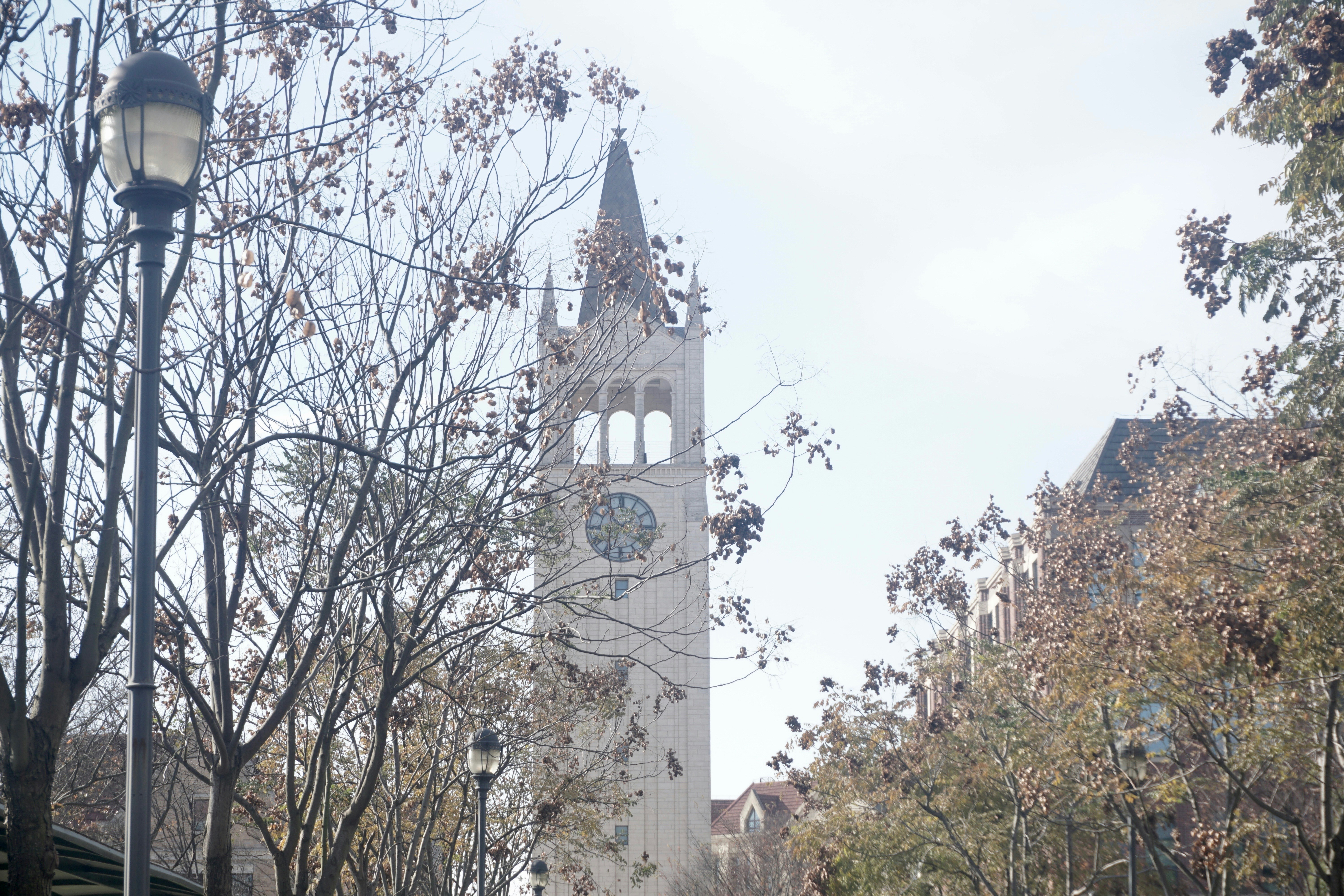 Zhejiang University International Campus | A clock tower is seen through trees.