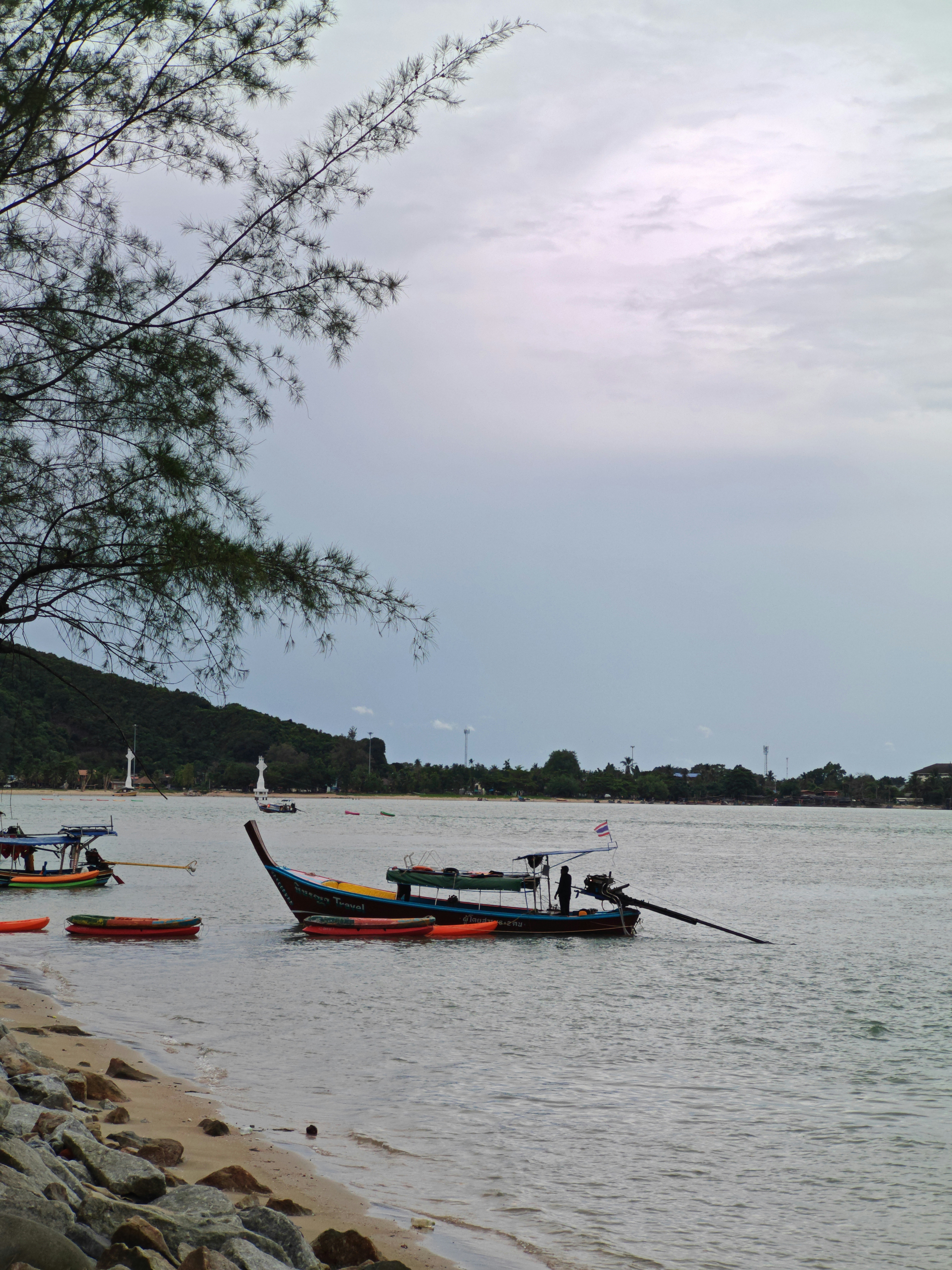 Sample photo from Honor 200 Pro