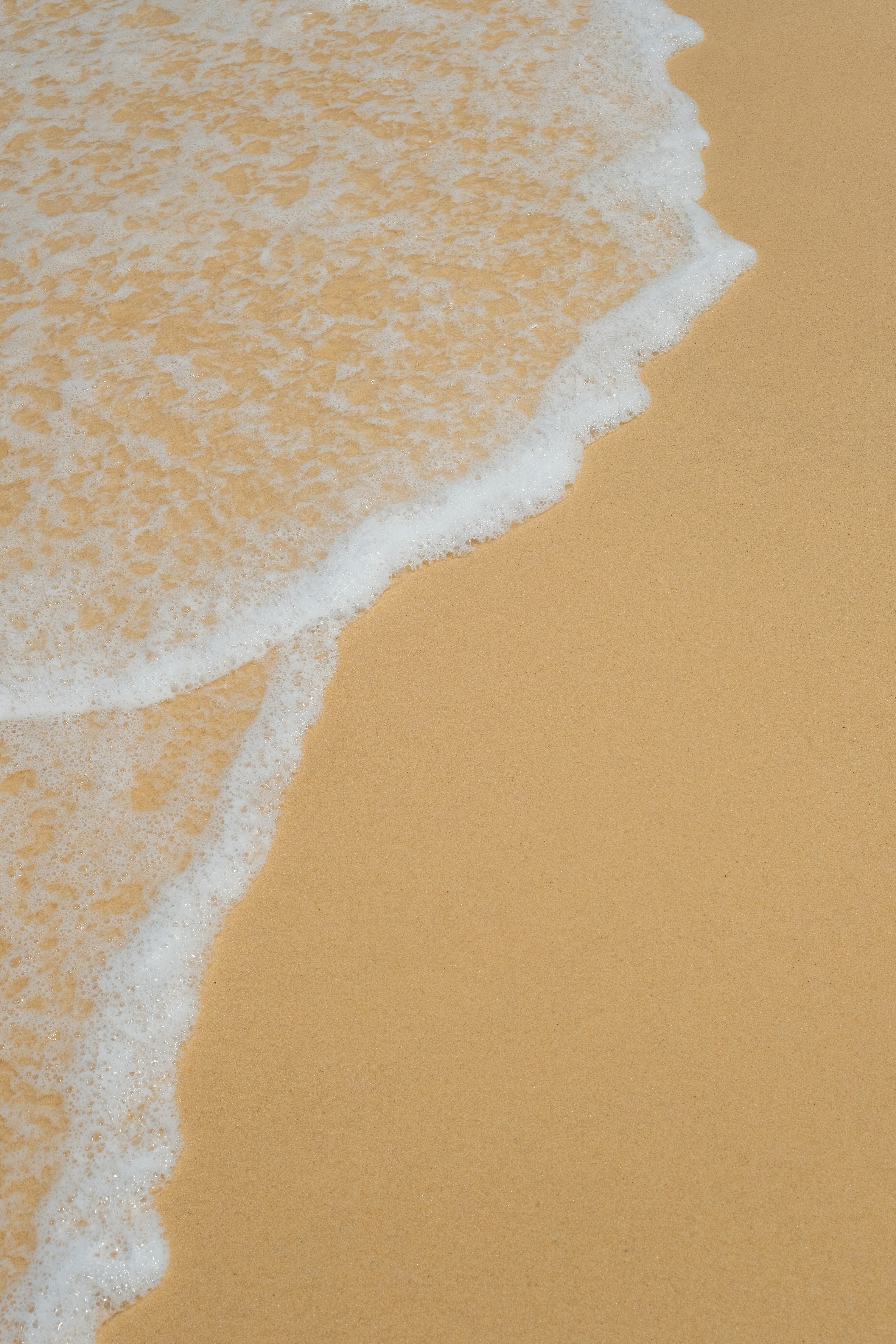 Foam from waves wash onto a sandy beach.