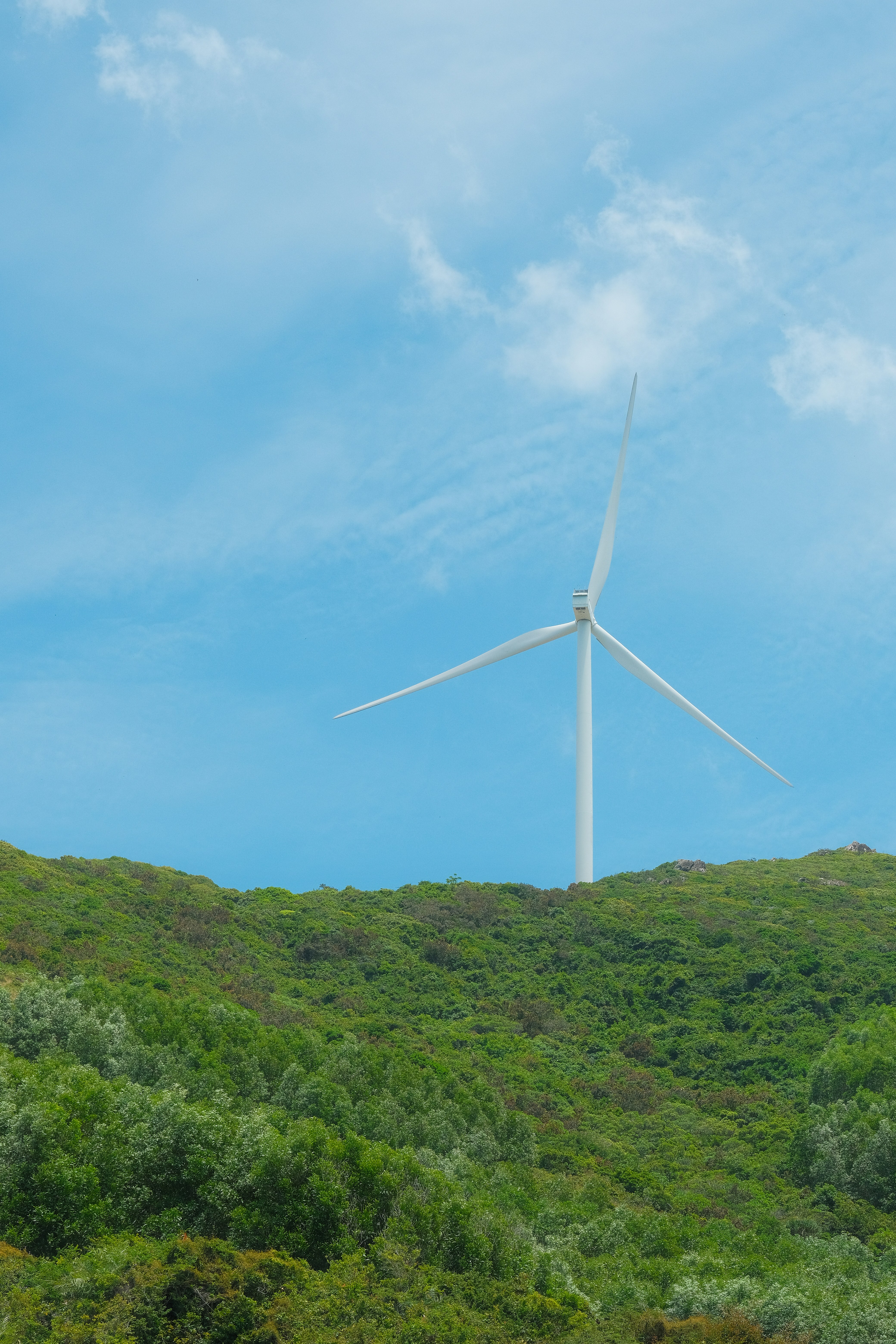 A tall wind turbine stands prominently on a lush hillside under a clear blue sky, symbolizing renewable energy and environmental harmony.