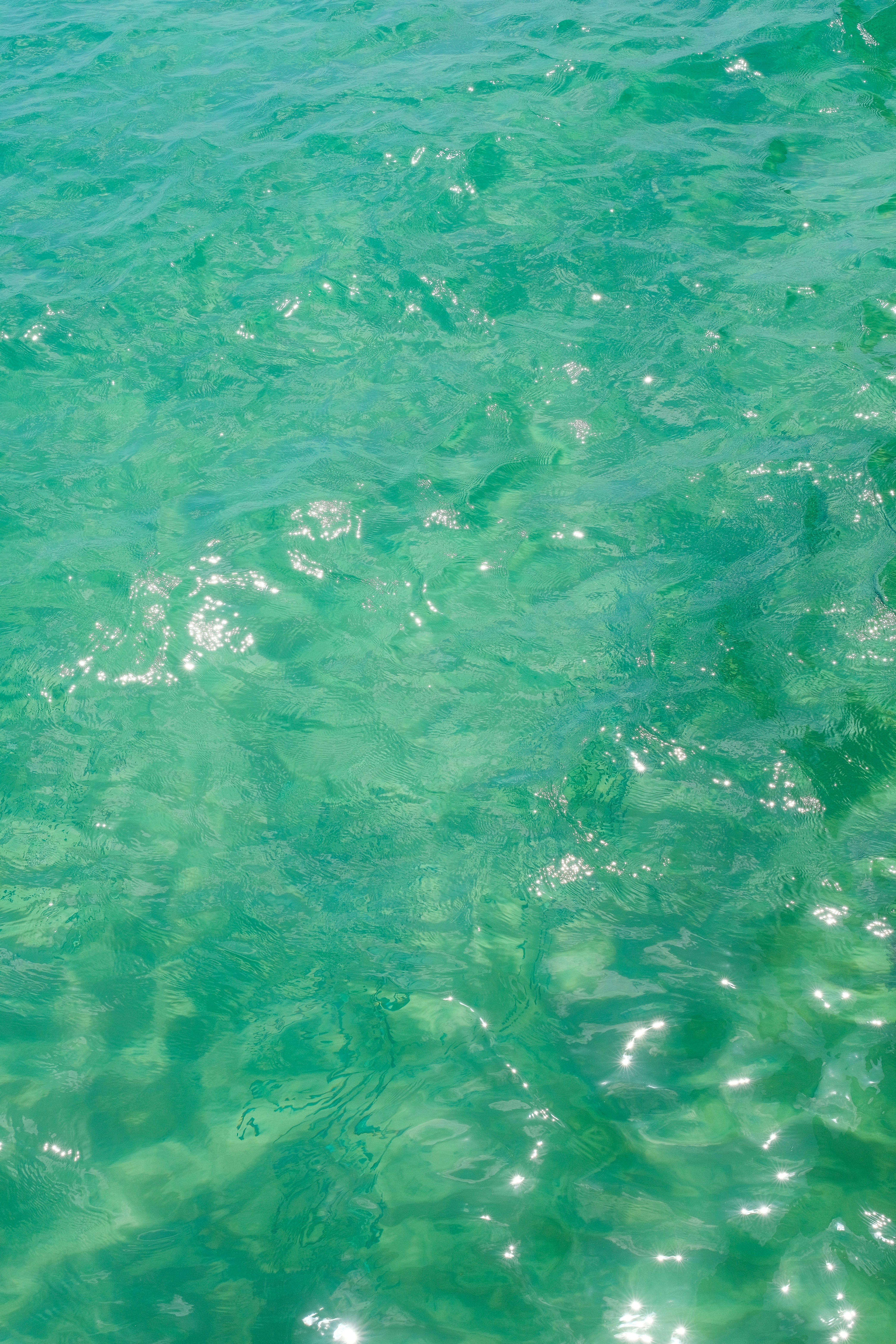 Crystal clear water shimmering under sunlight, revealing a tranquil underwater world. The gentle ripples create a mesmerizing pattern on the surface.