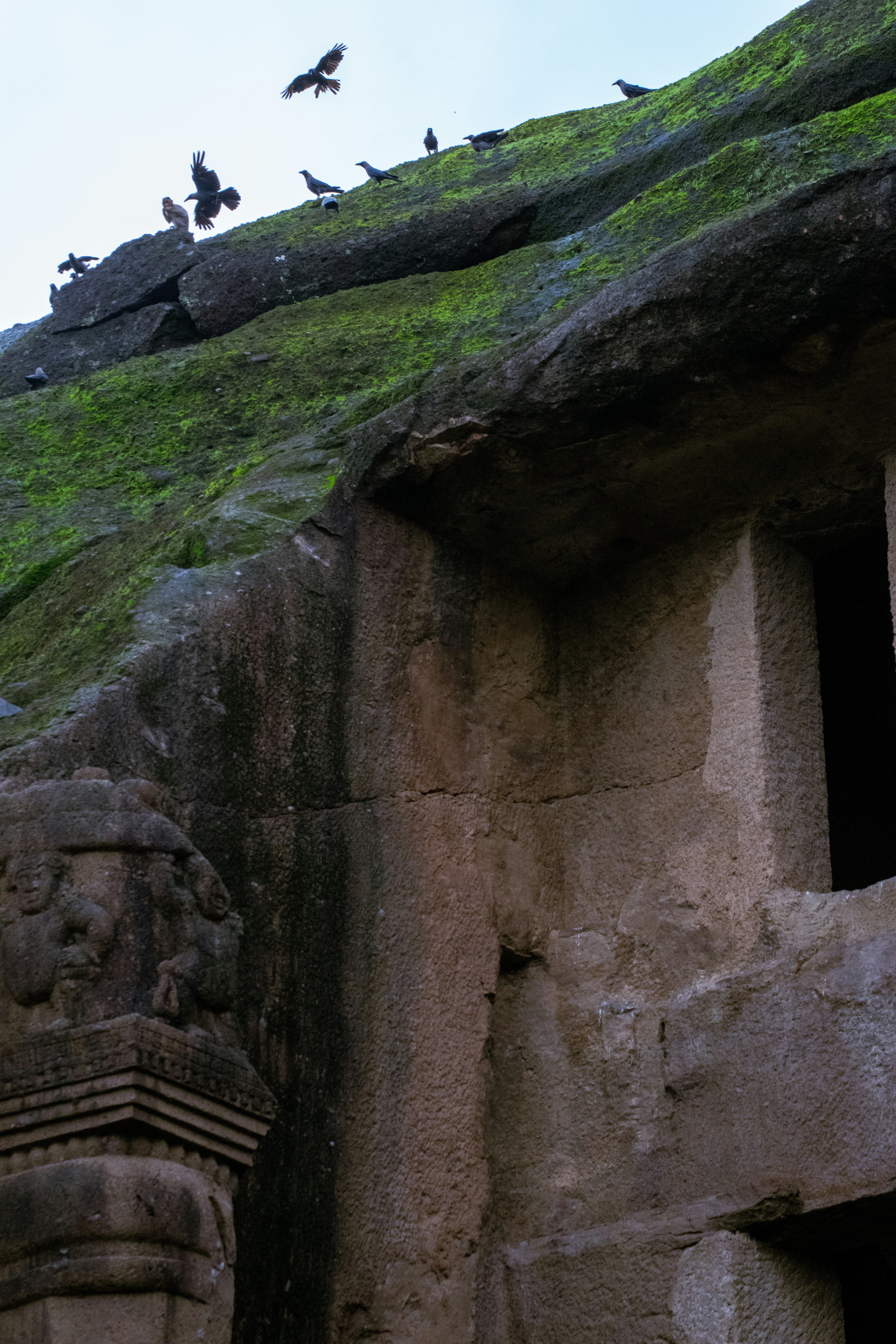 Echoes of Time: The Ancient Carvings and Avian Guardians