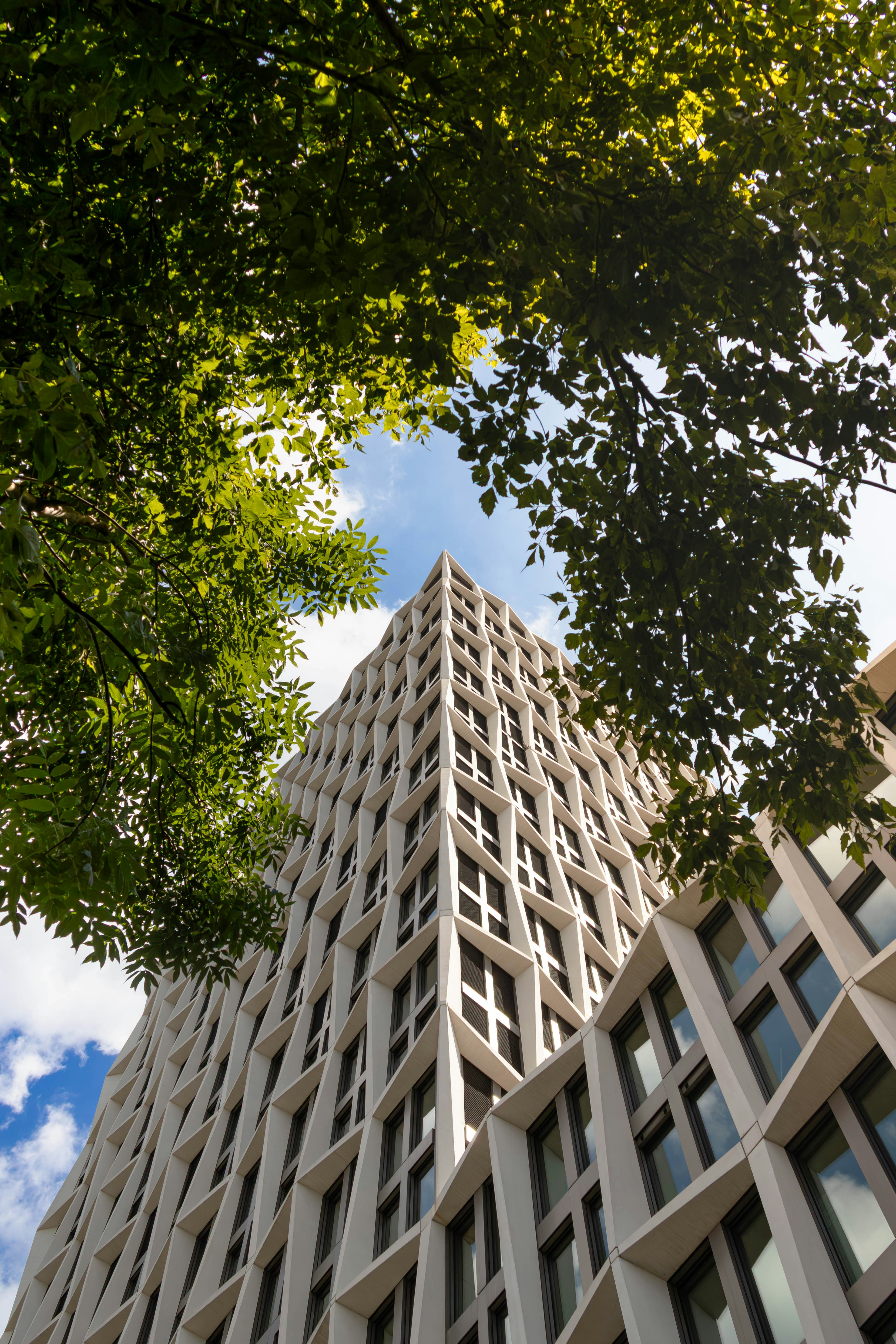 A modern building peeks through lush green trees.