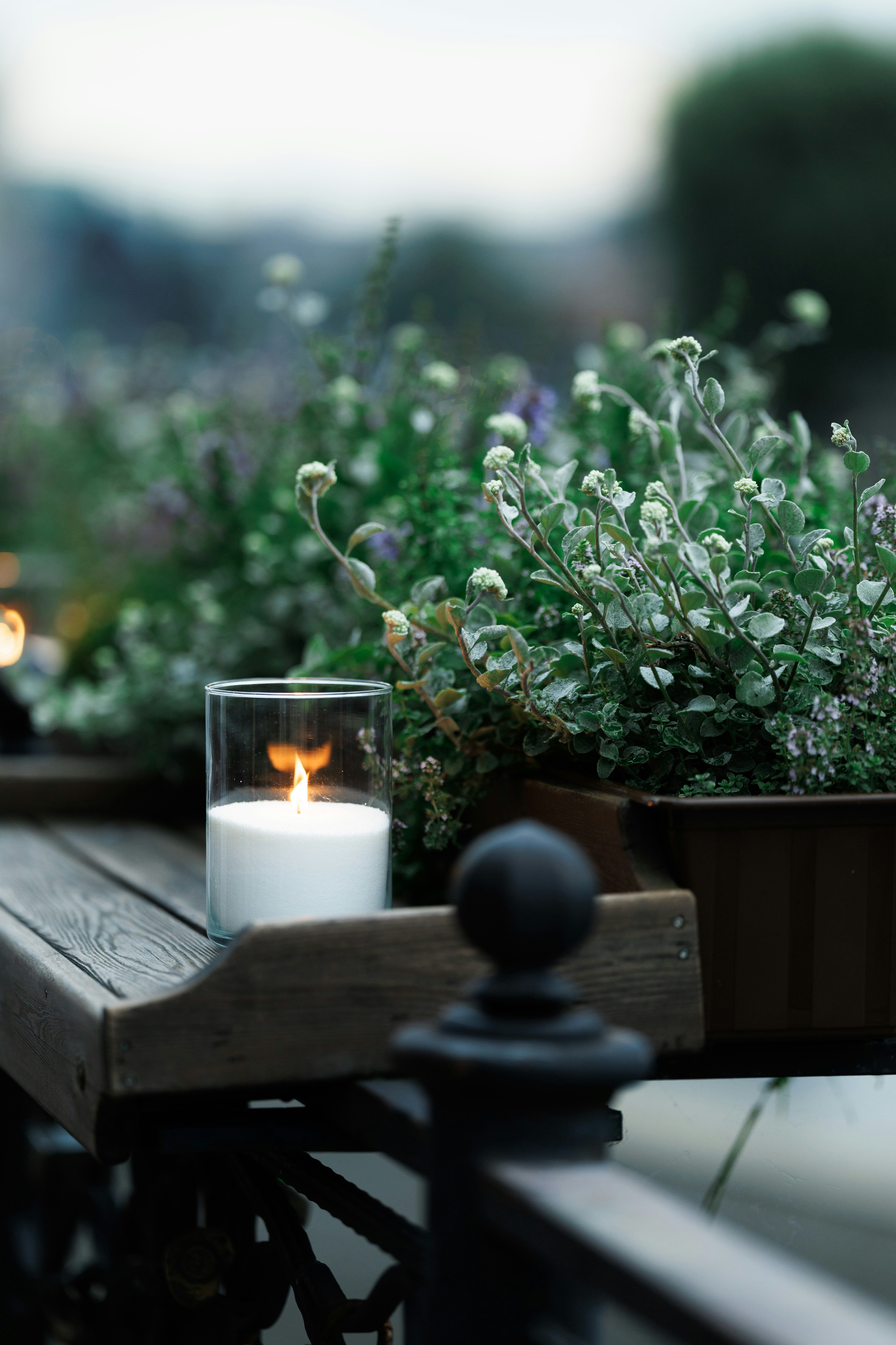 Whispers of Serenity: A Candlelit Garden