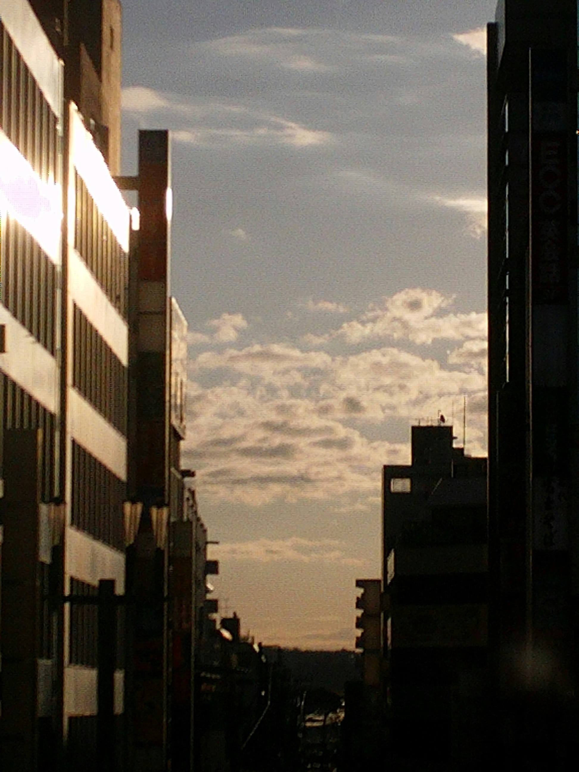 Sample photo from Insignia NS-DV720P