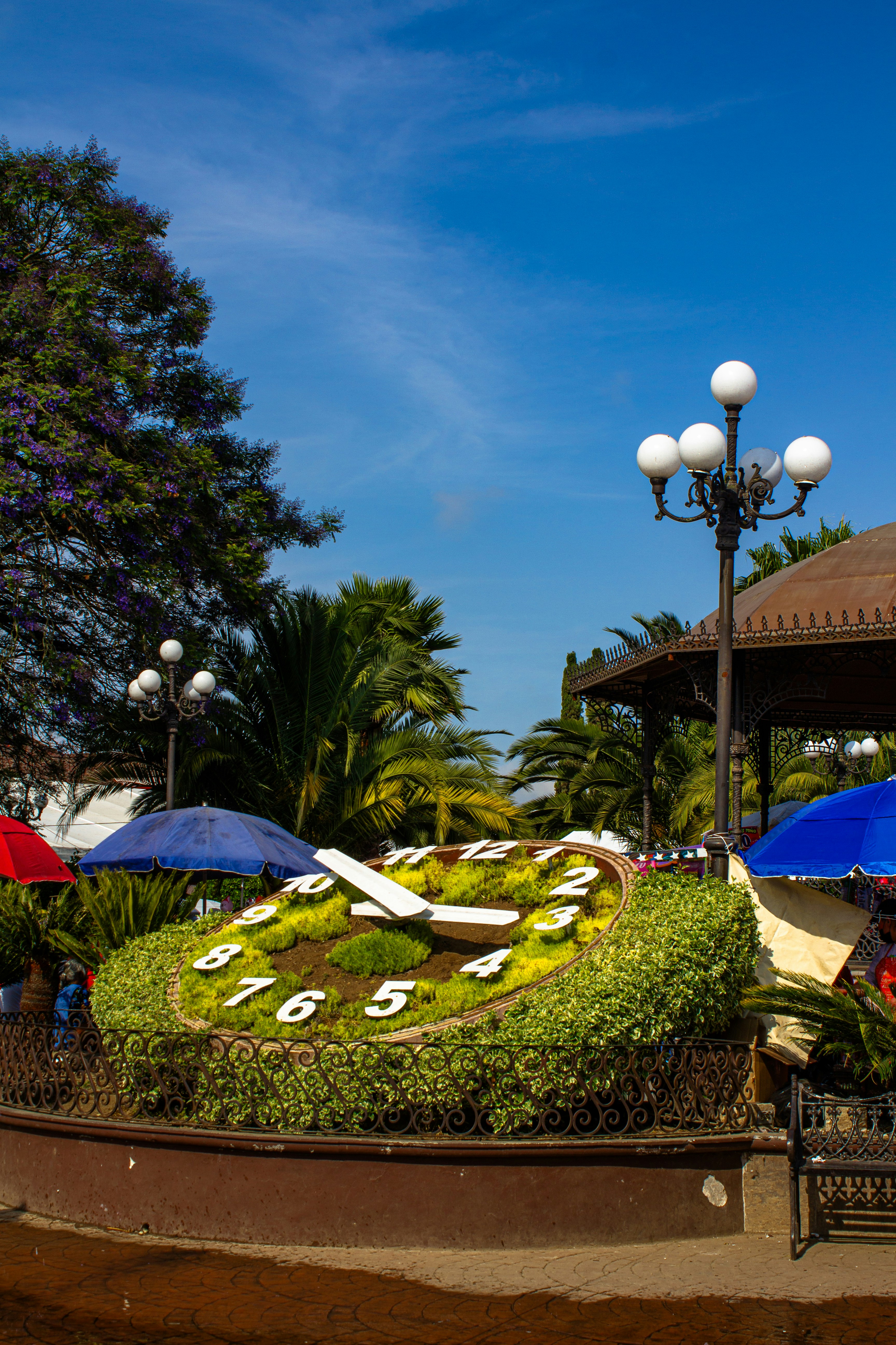 Thalittlemarc. CMG Pictures. | A green floral clock sits in a public park.