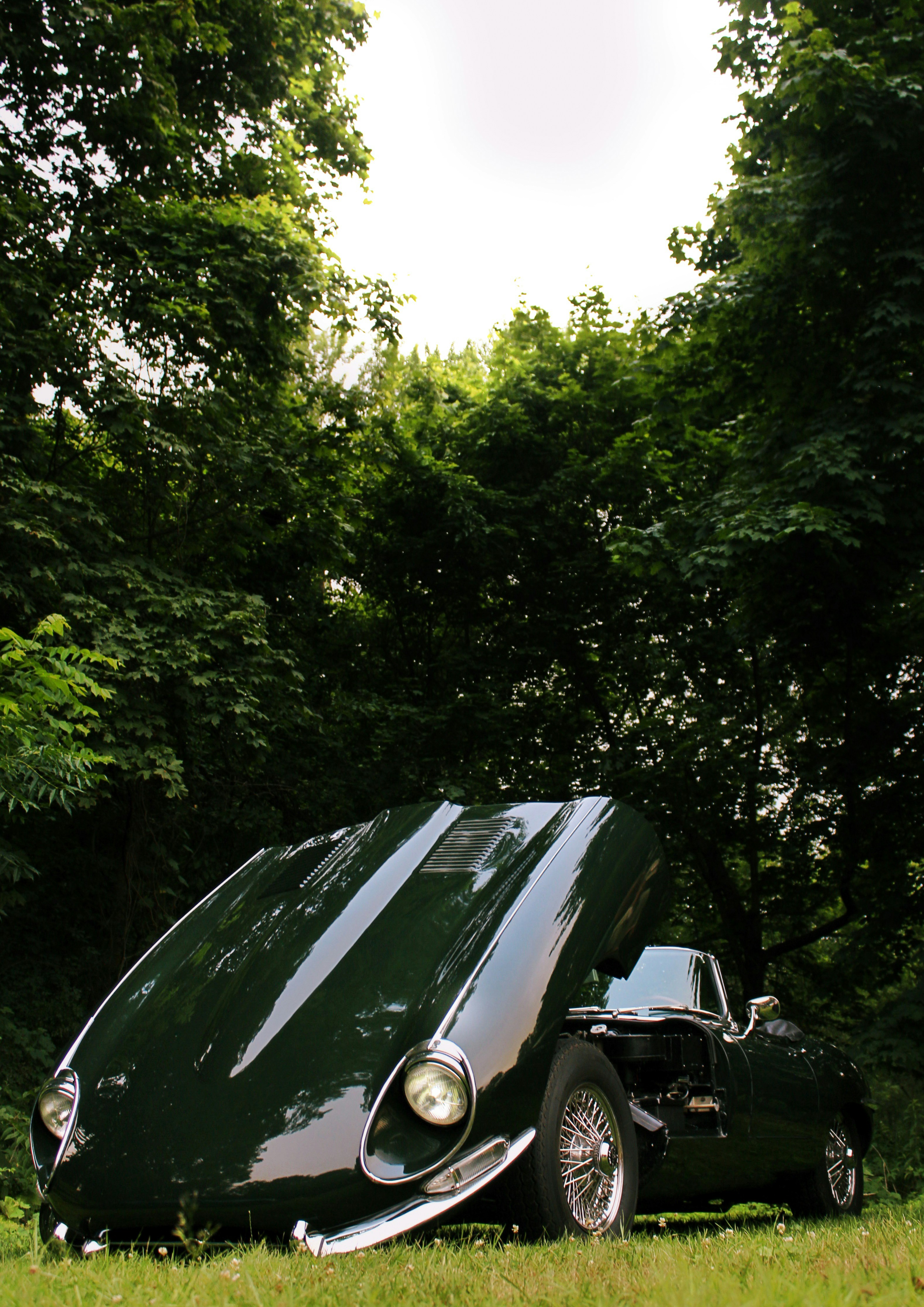 A Glimpse Under the Hood of Classic Elegance
