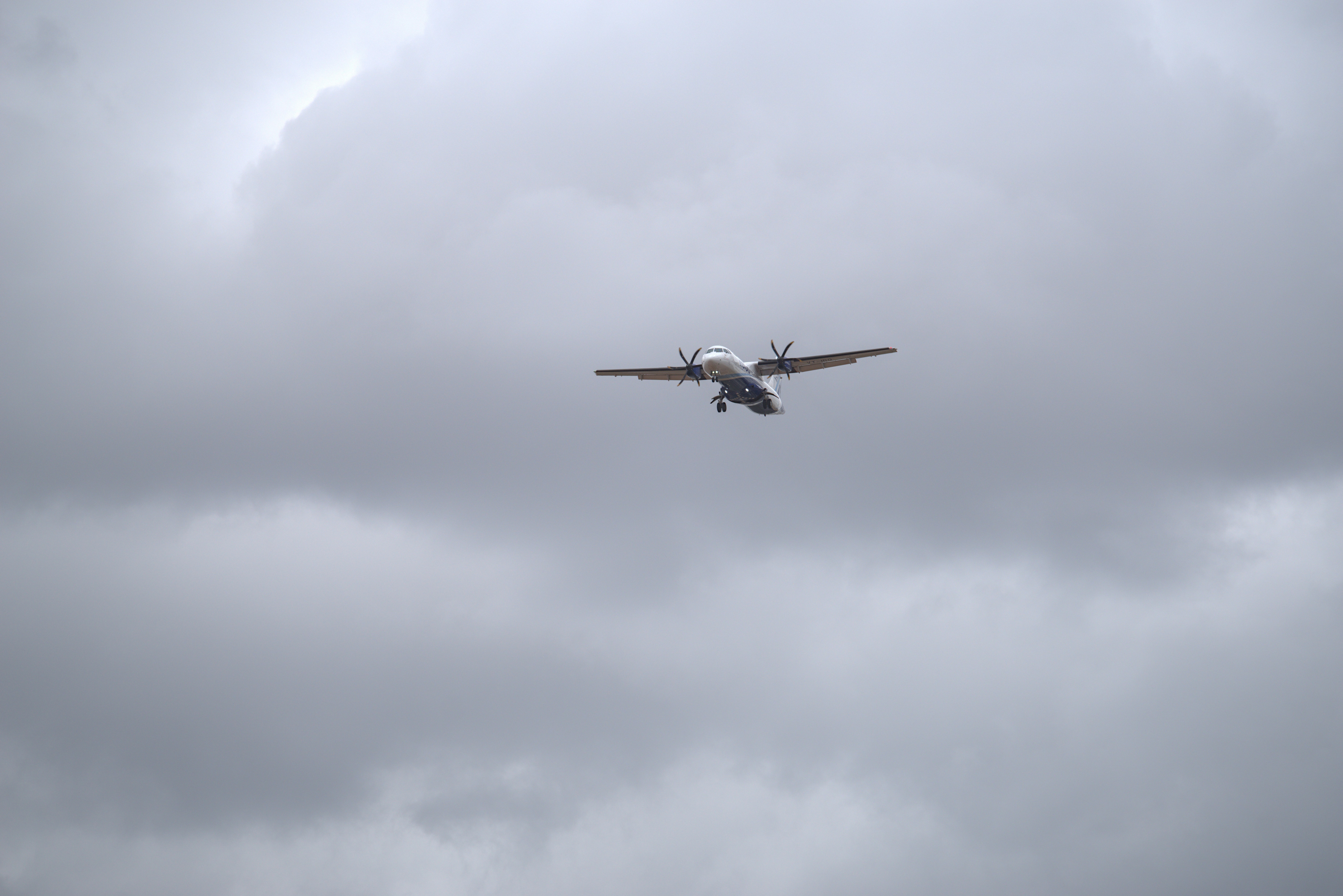 Soaring Through the Overcast Skies