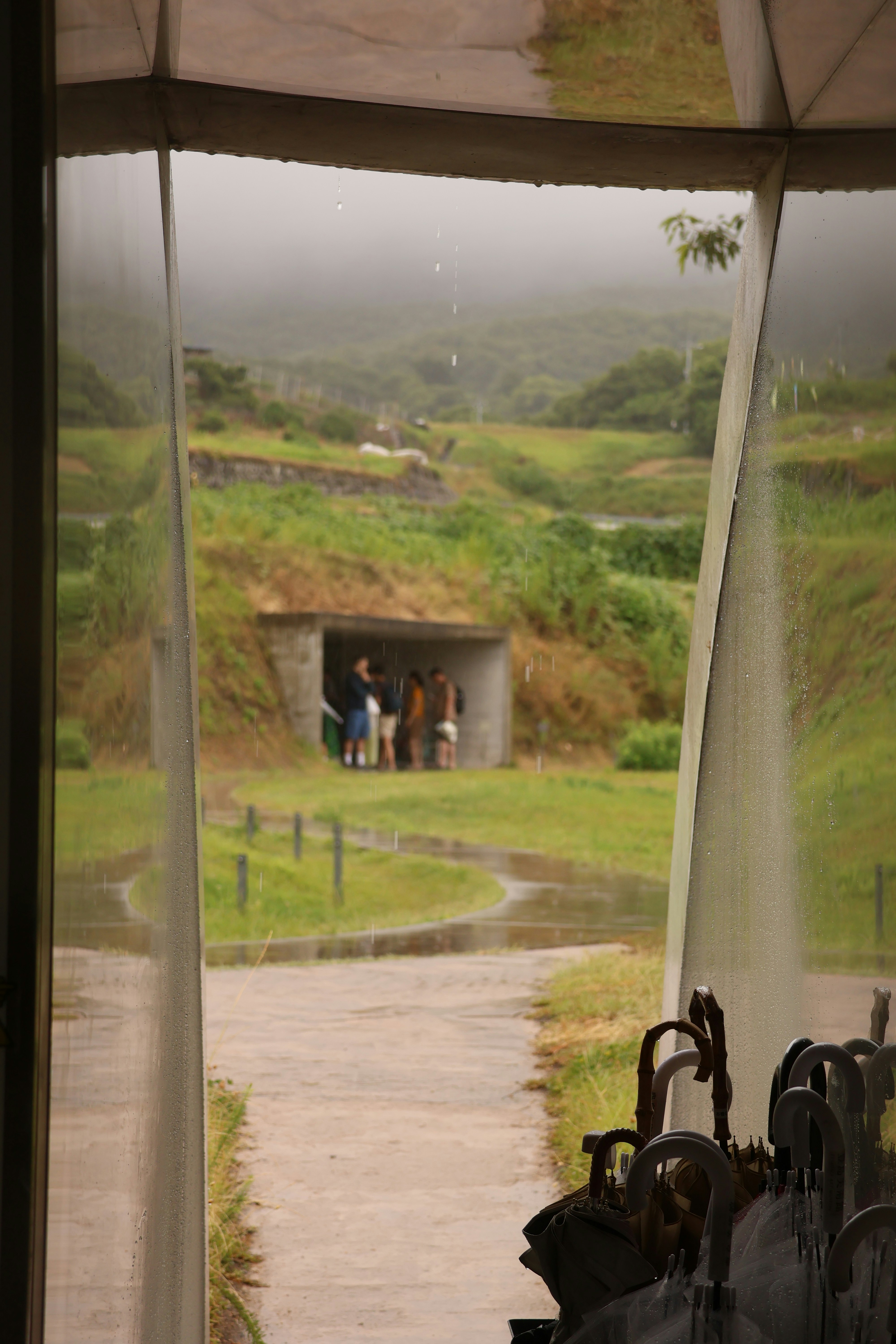 Gateway to Nature's Embrace