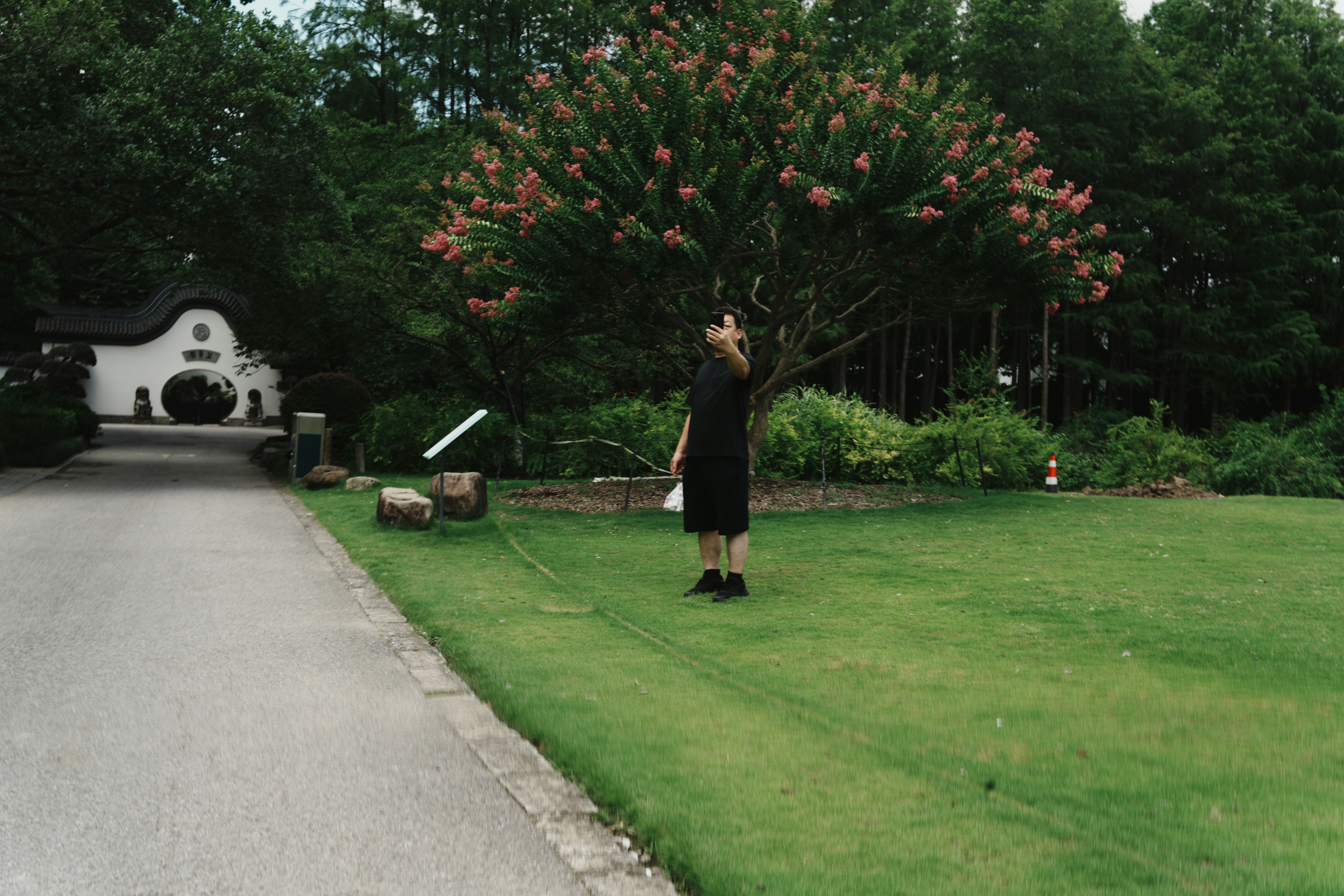 A Serene Moment in a Lush Retreat