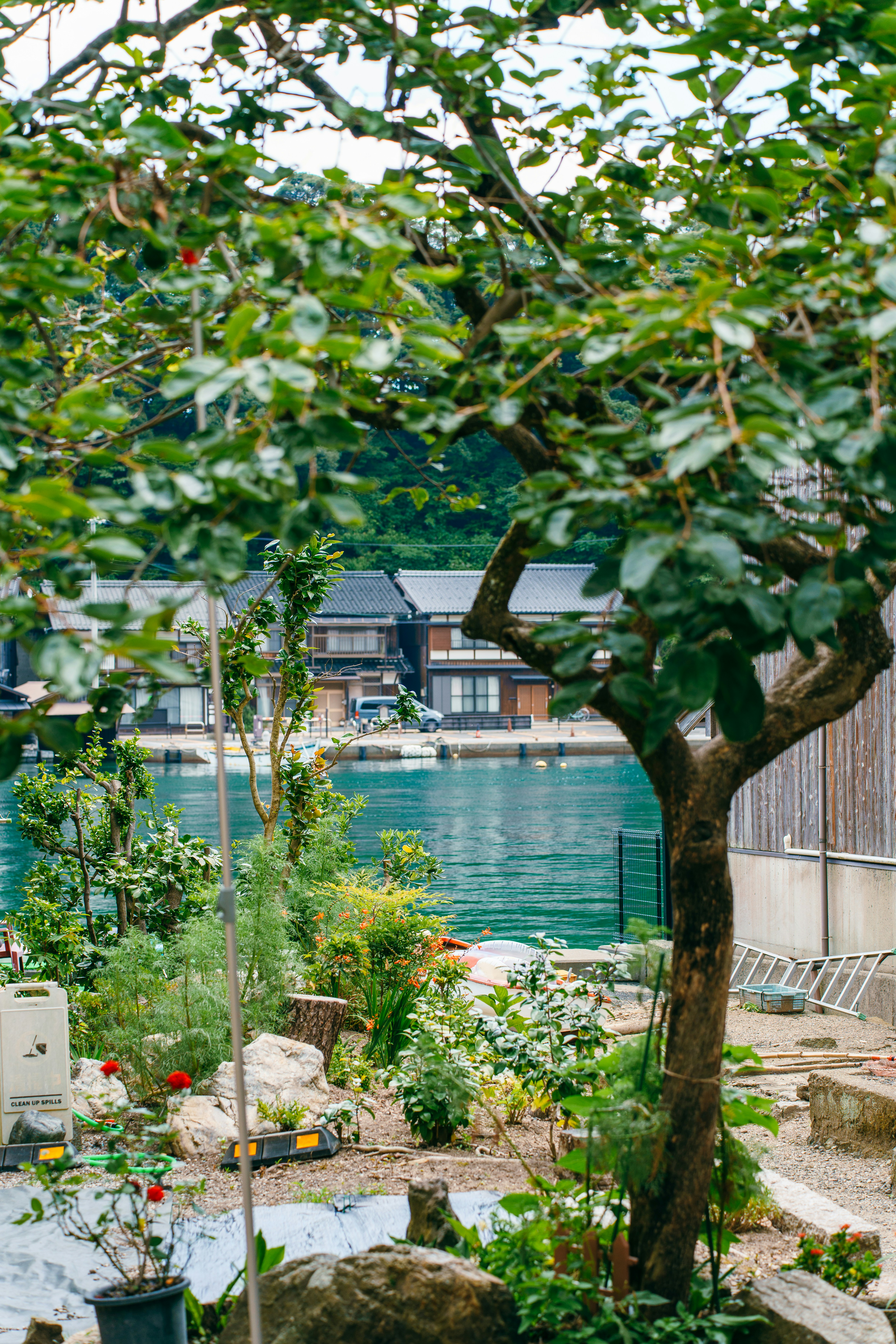 Waterside Village Through Elms and Branches