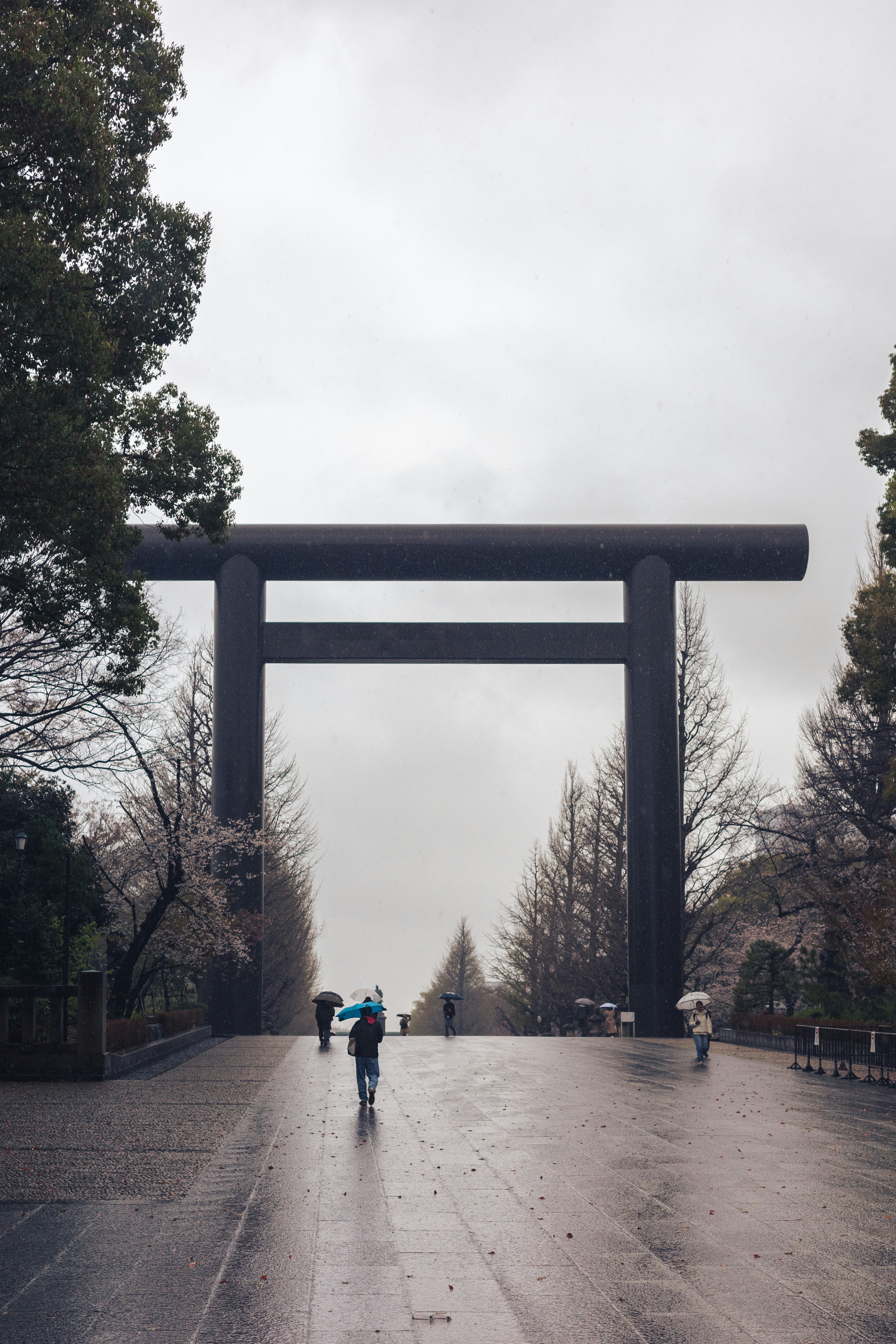 Journey Through the Torii Gate in Rain