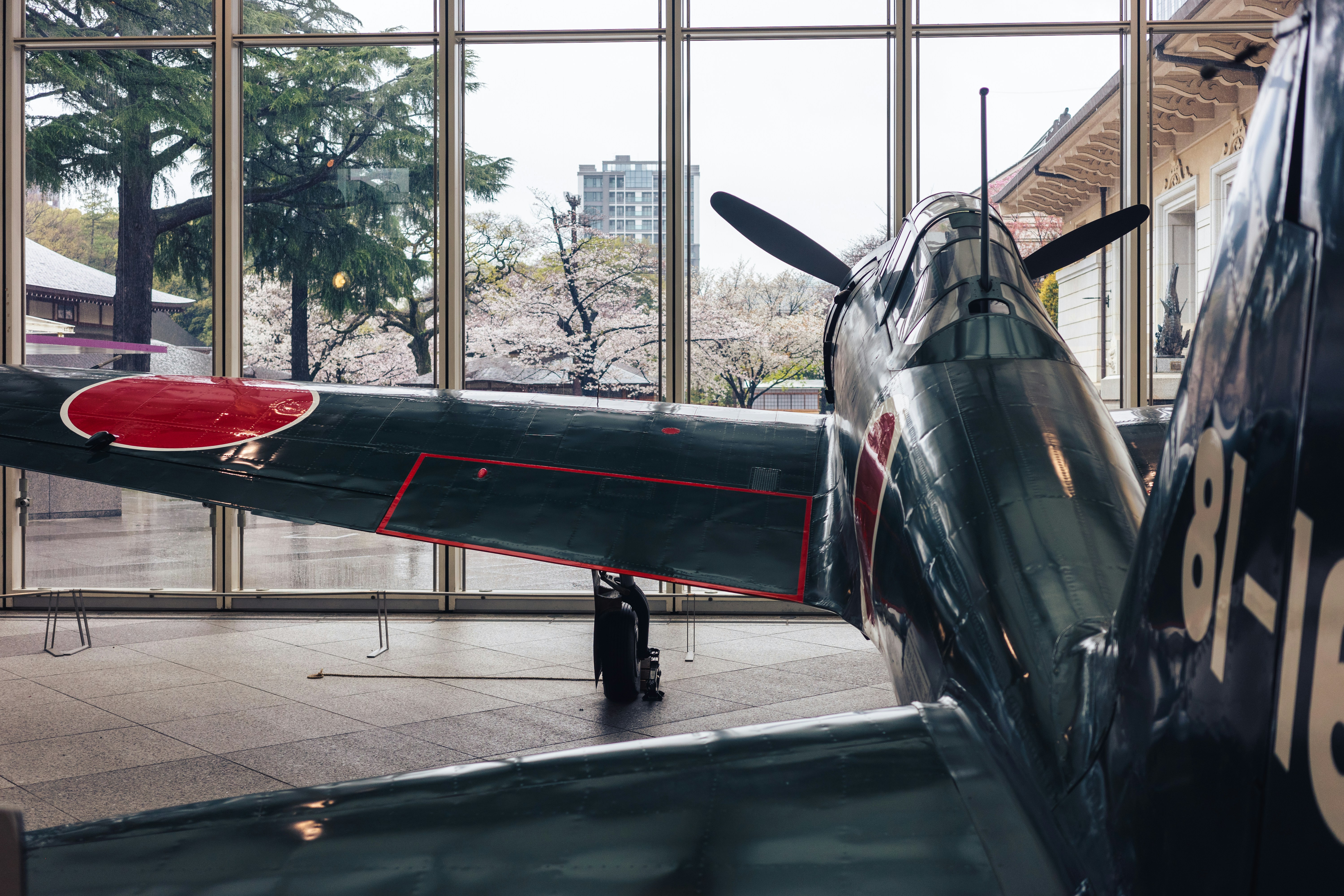 Elegance in Motion: A Warbird's Legacy