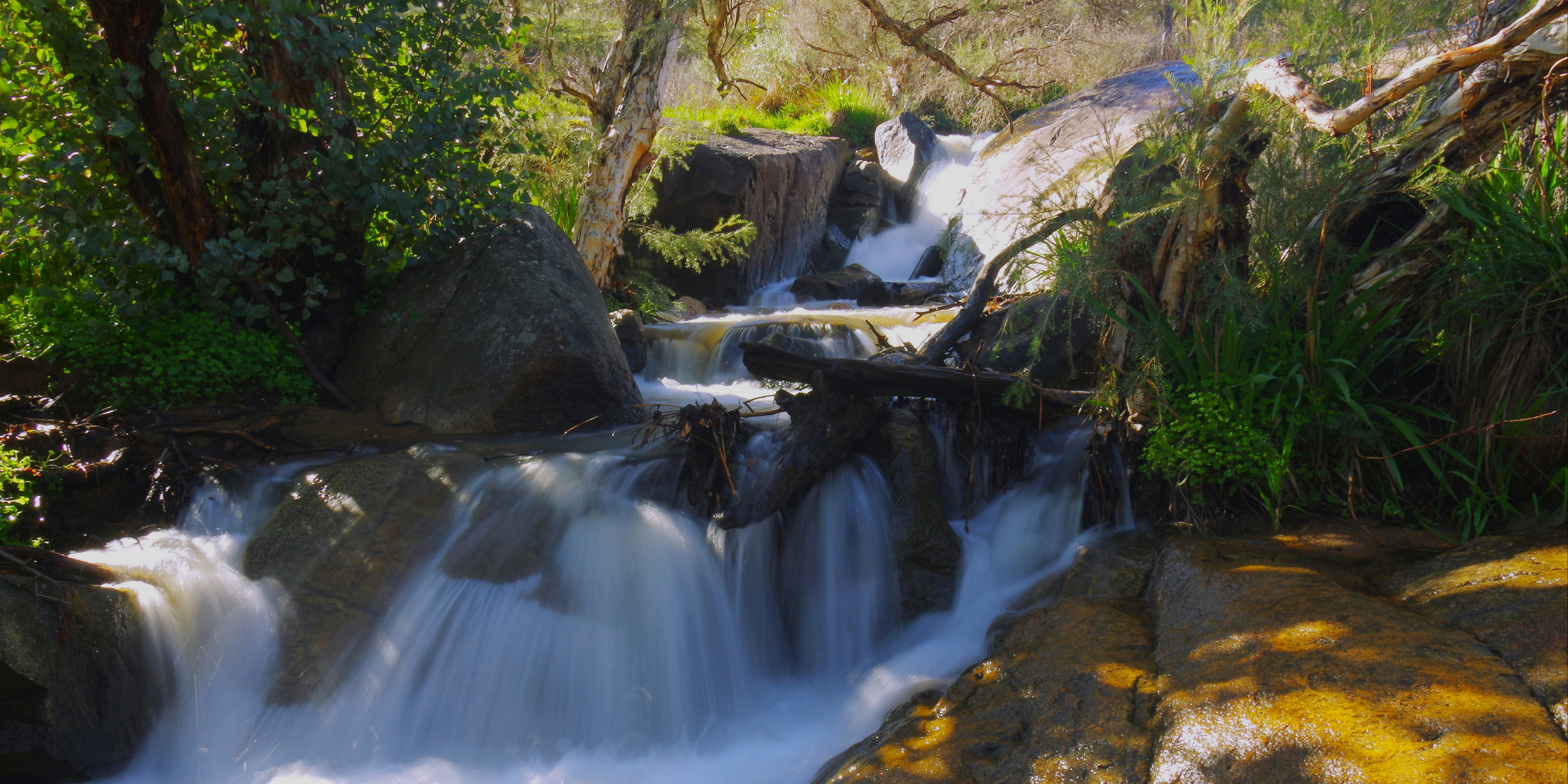Forest Cascade: Velvet Flow over Weathered Granite