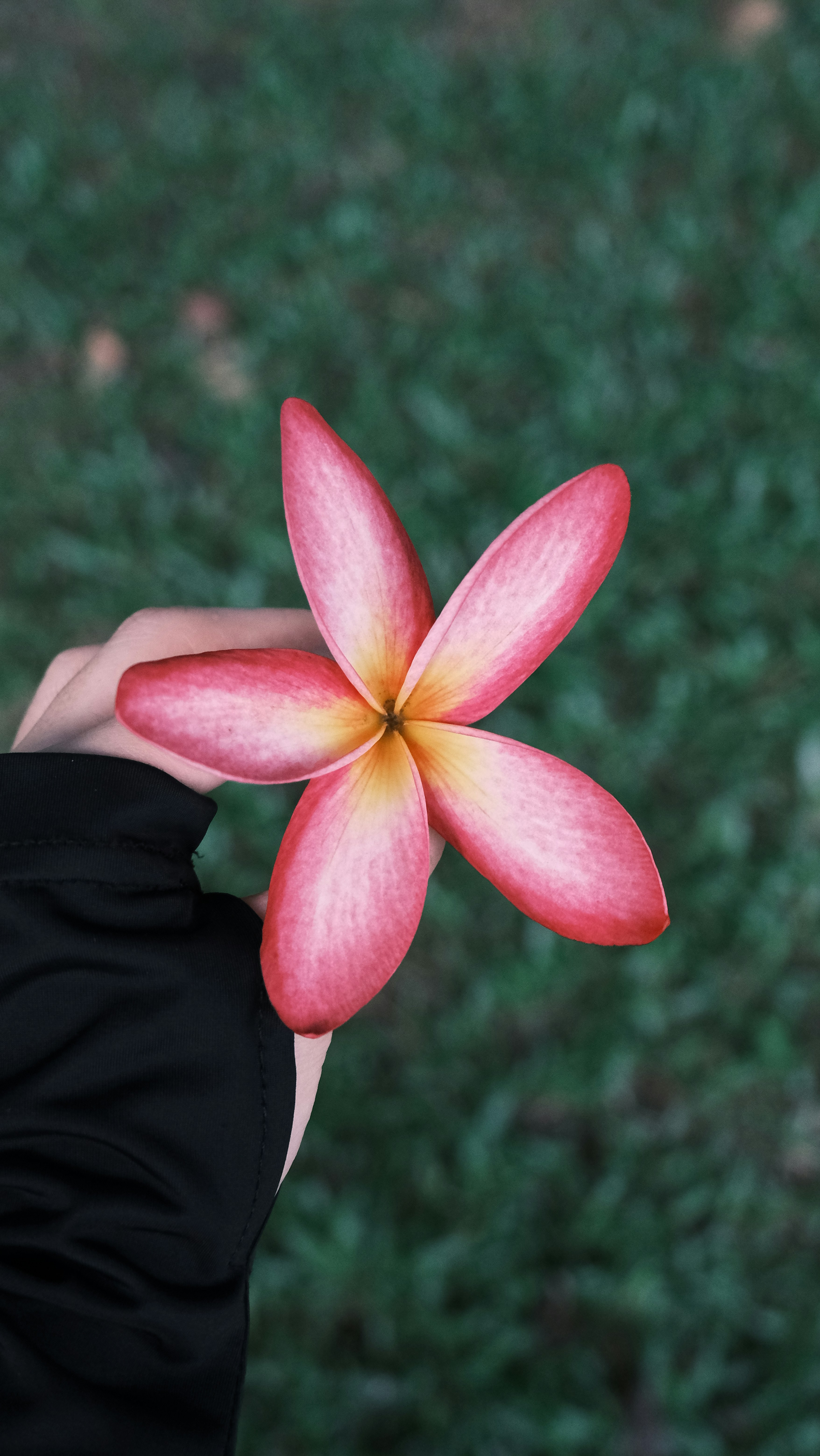 Blossoming Elegance: A Floral Embrace