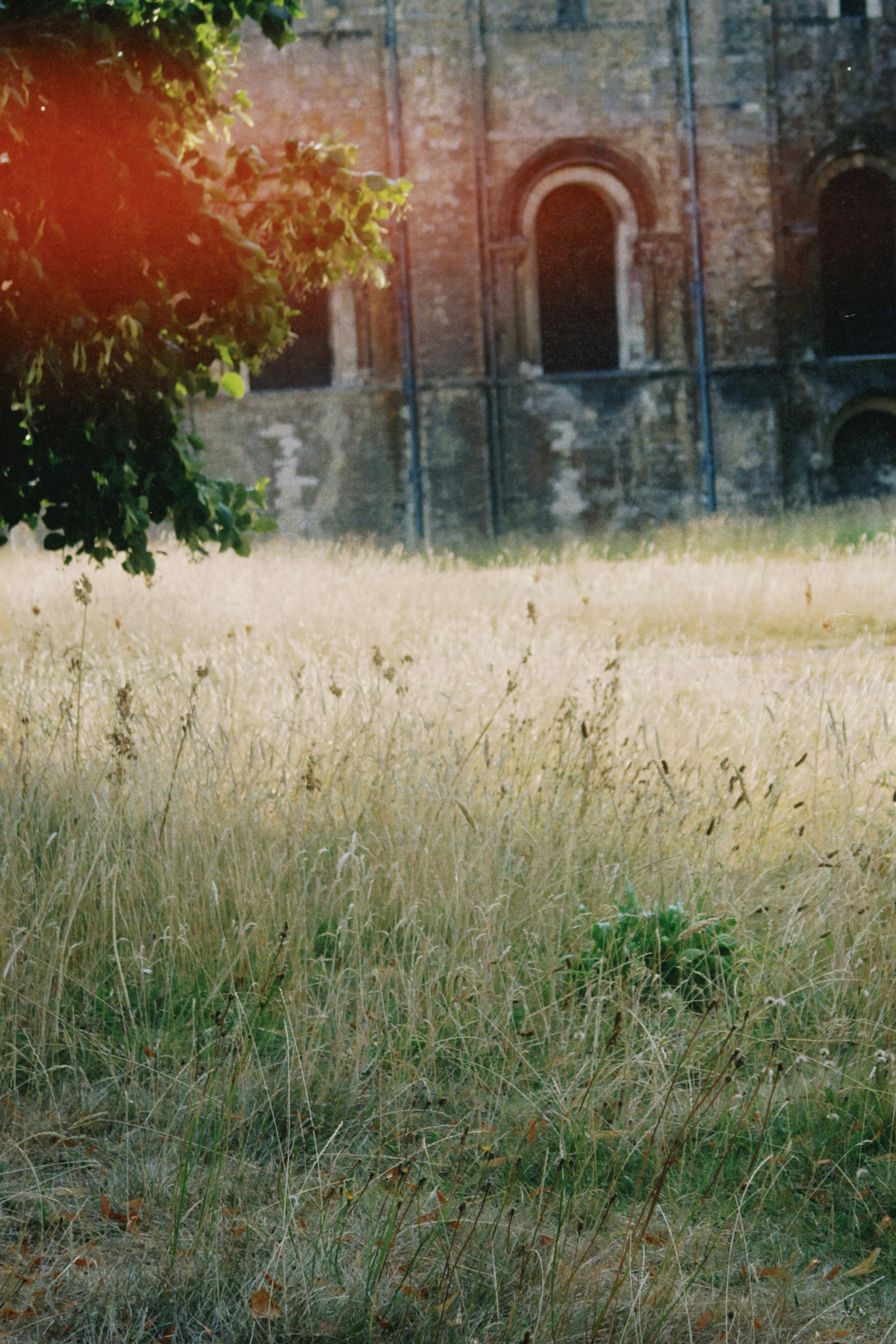 Echoes Through the Grasses: An Abandoned Brick Arcade