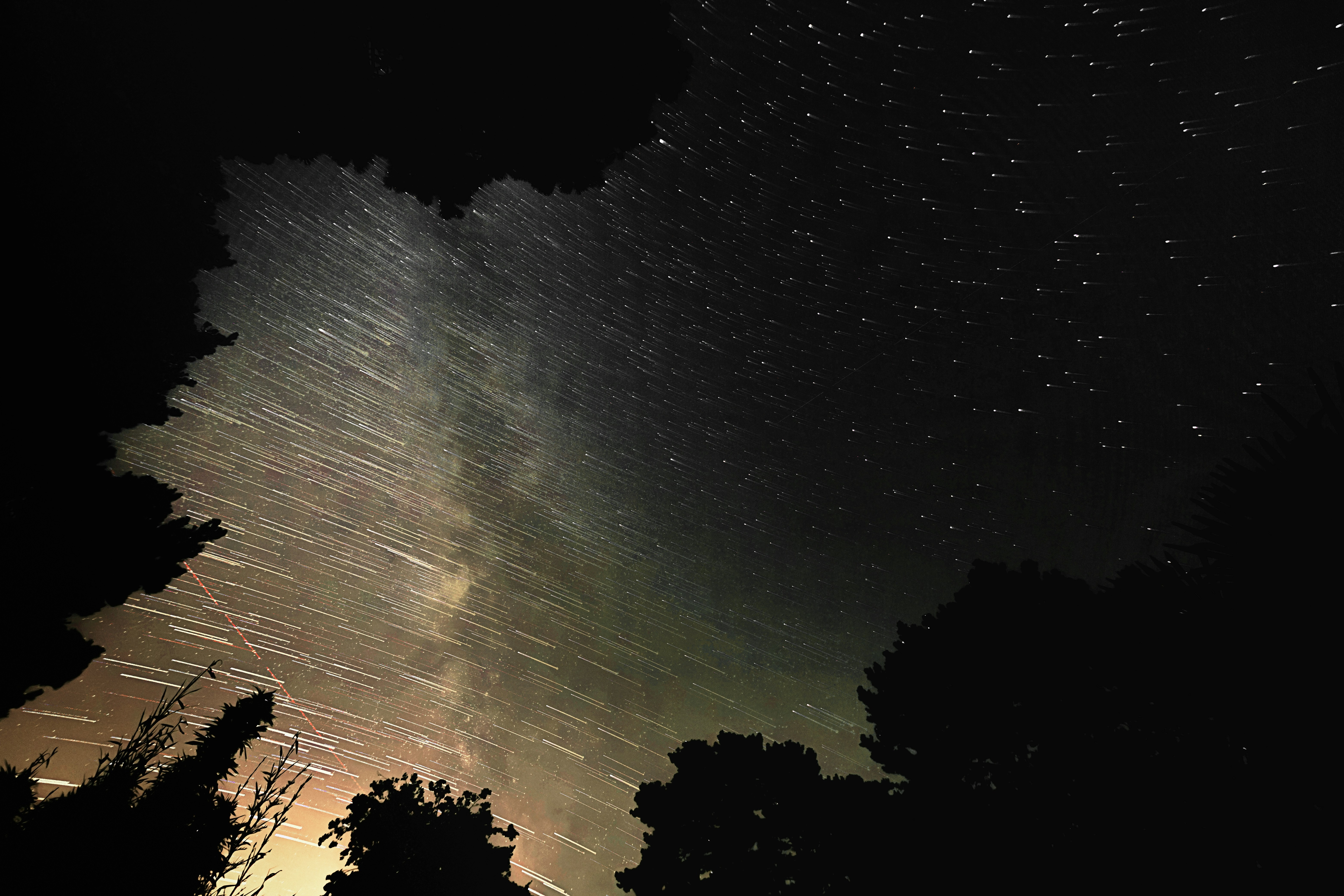 The starry sky is beautiful, above the trees.