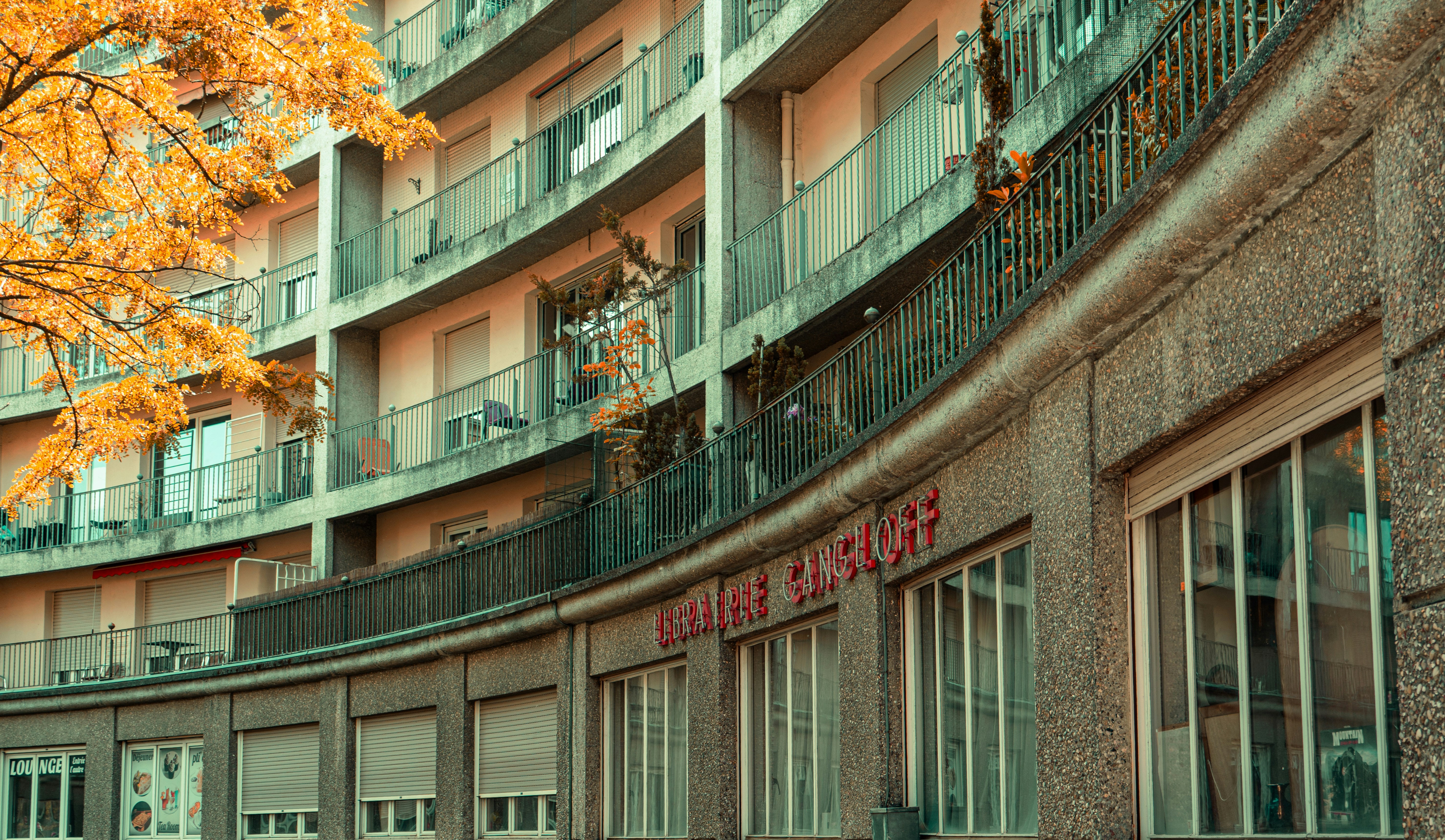 Curved architectural facade featuring a prominent sign, framed by vibrant autumn foliage. The scene captures a blend of modern design and seasonal color.