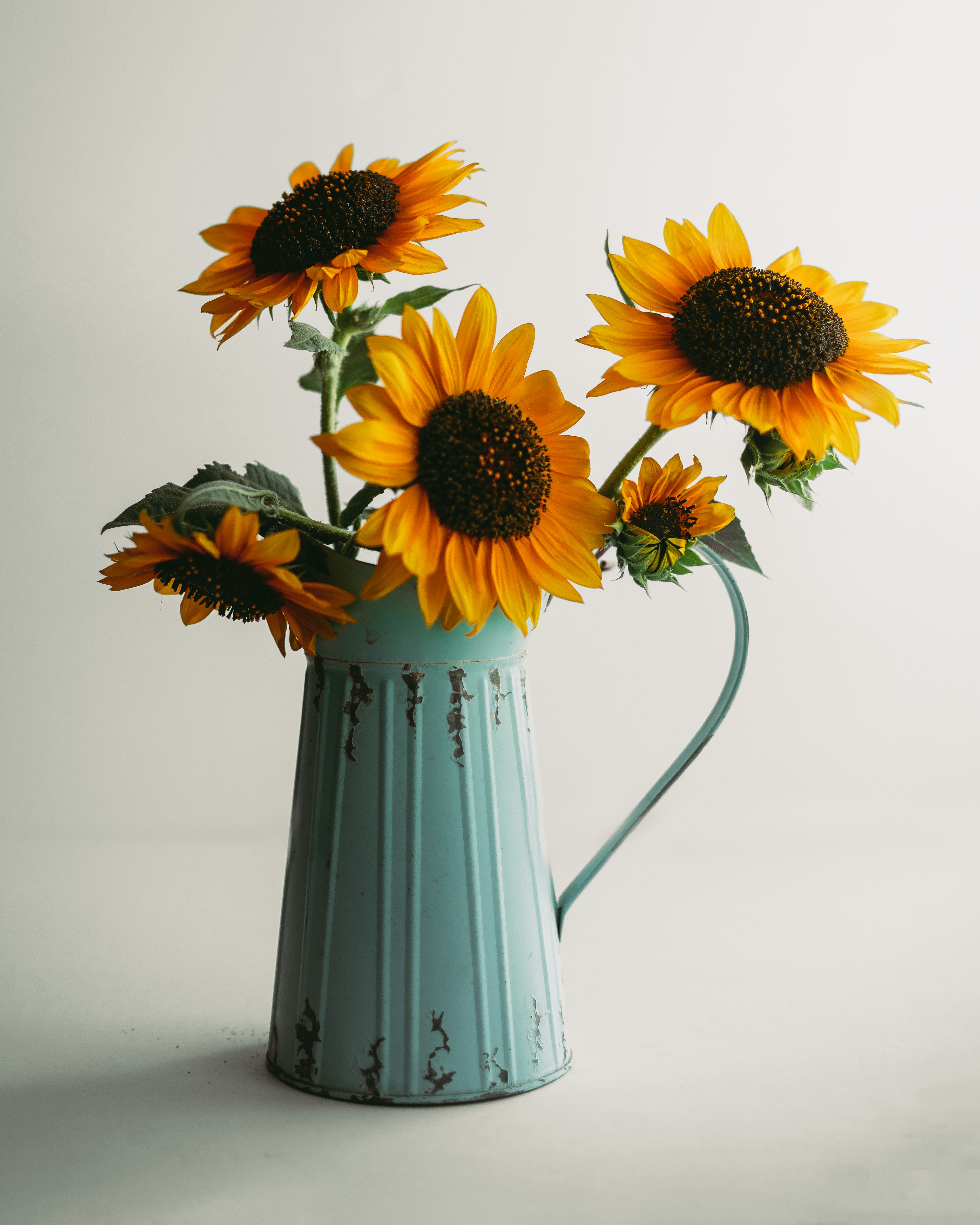 Vibrant sunflowers arranged in a vintage blue watering can, creating a cheerful focal point against a soft background.