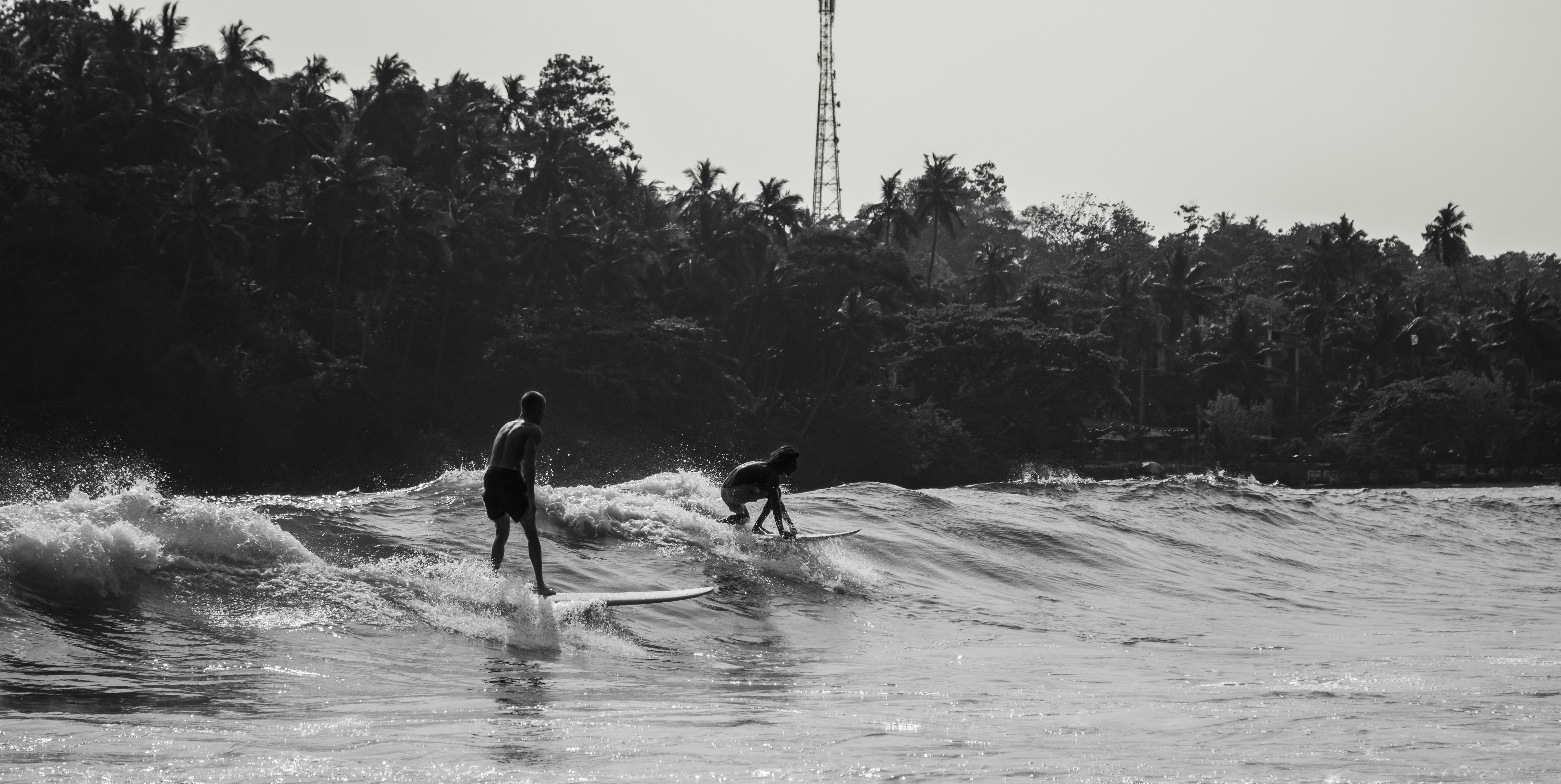 Monochrome Riders: Two Surfers in a Quiet Break by Palm-Fringed Shore