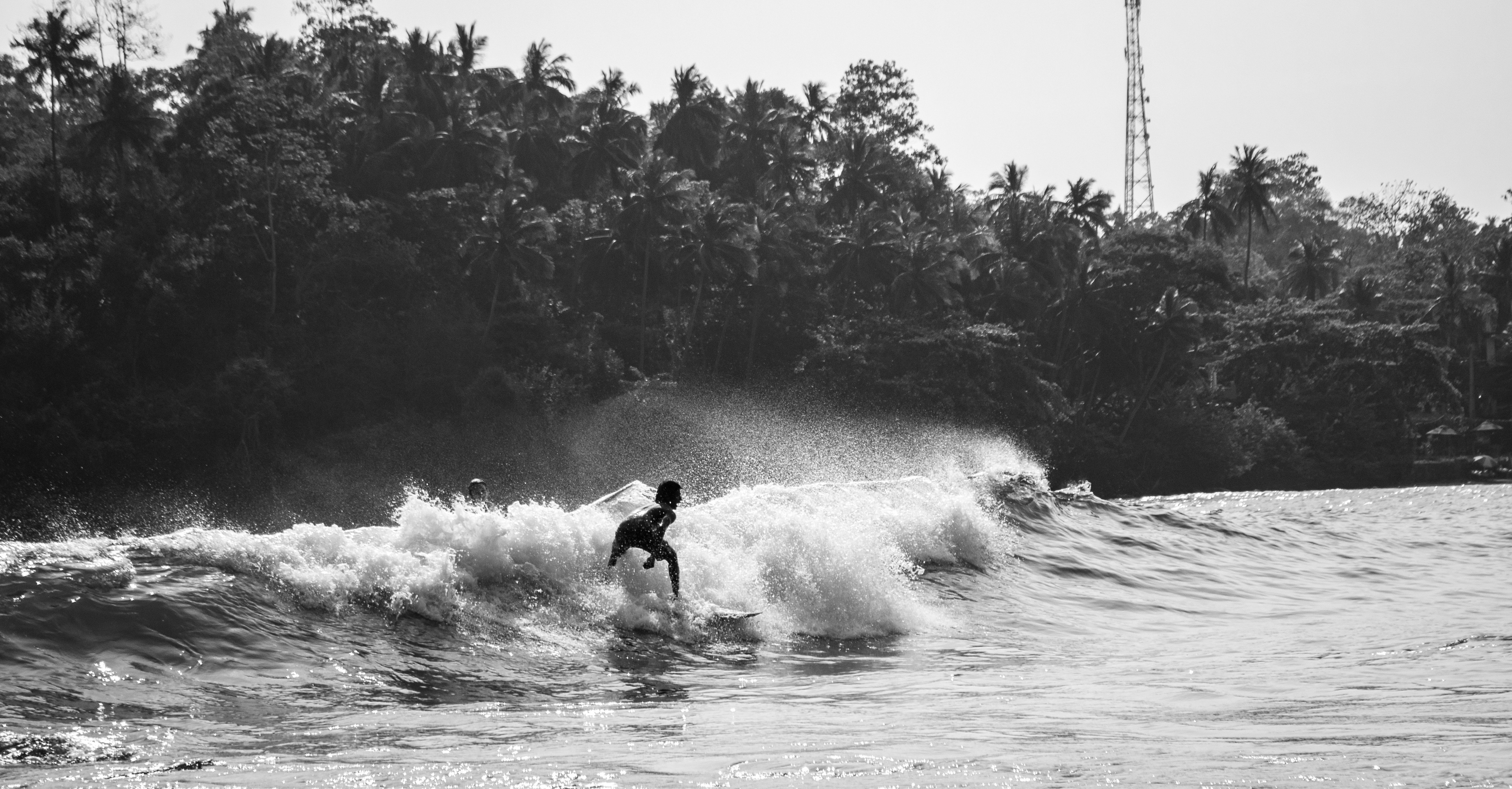 A surfer rides a wave near a wooded shoreline. photo – Free Travel ...