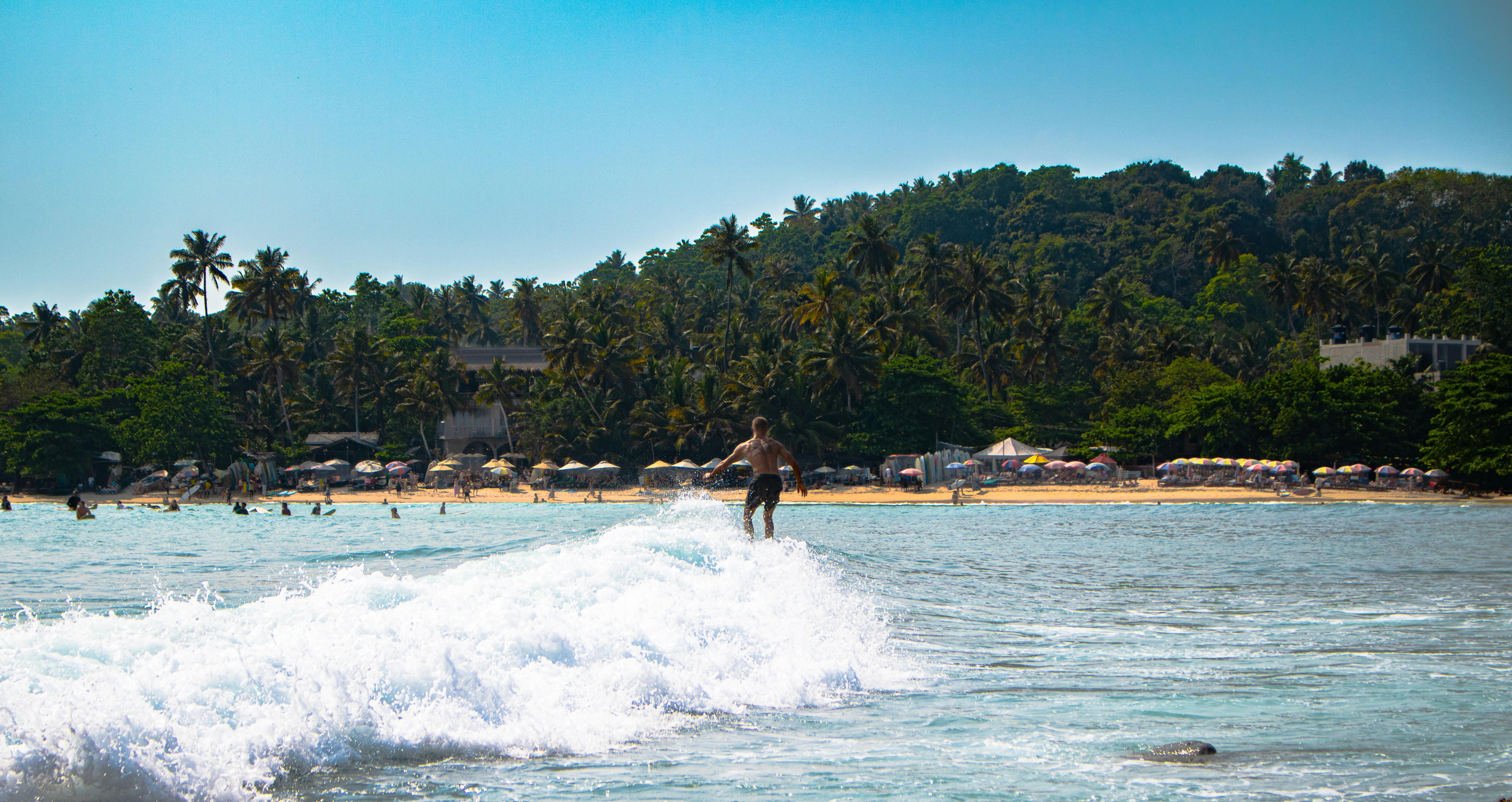 Riding the Waves of Freedom