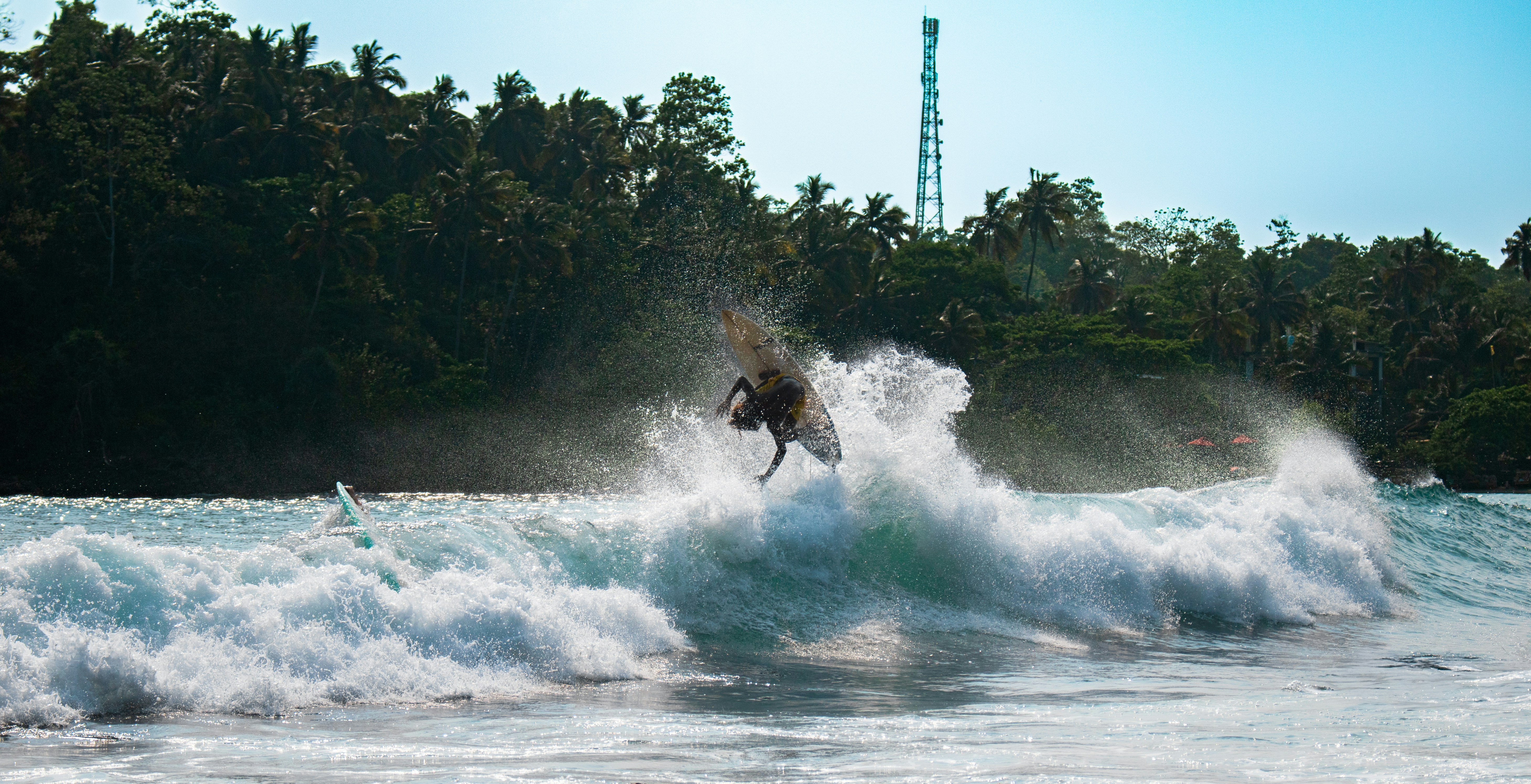 Surfer executing a dynamic maneuver atop a crashing wave, framed by lush tropical vegetation in the background.