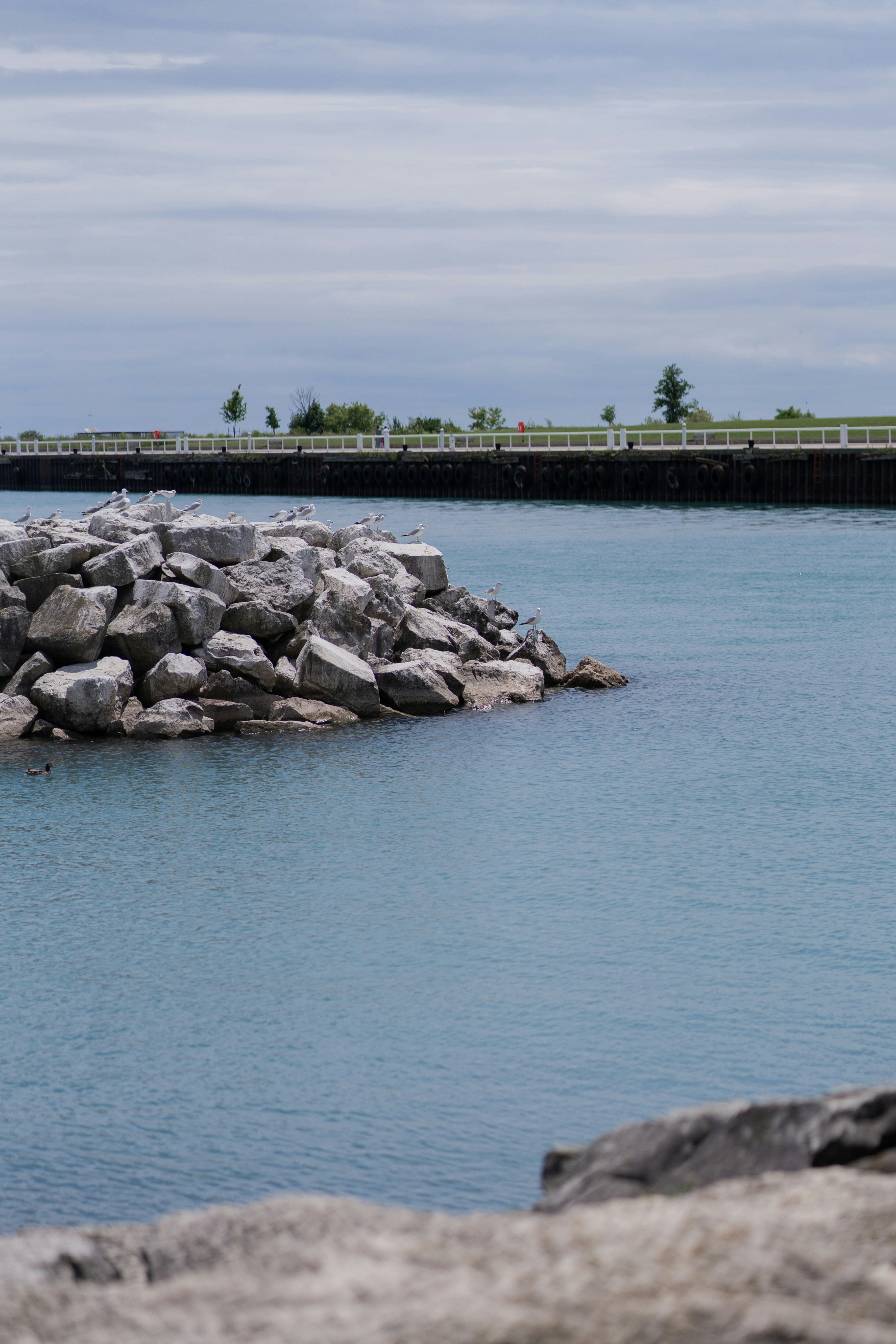 Rocky outcrop in tranquil waters, with a distant shoreline and cloudy sky, creating a peaceful lakeside scene.