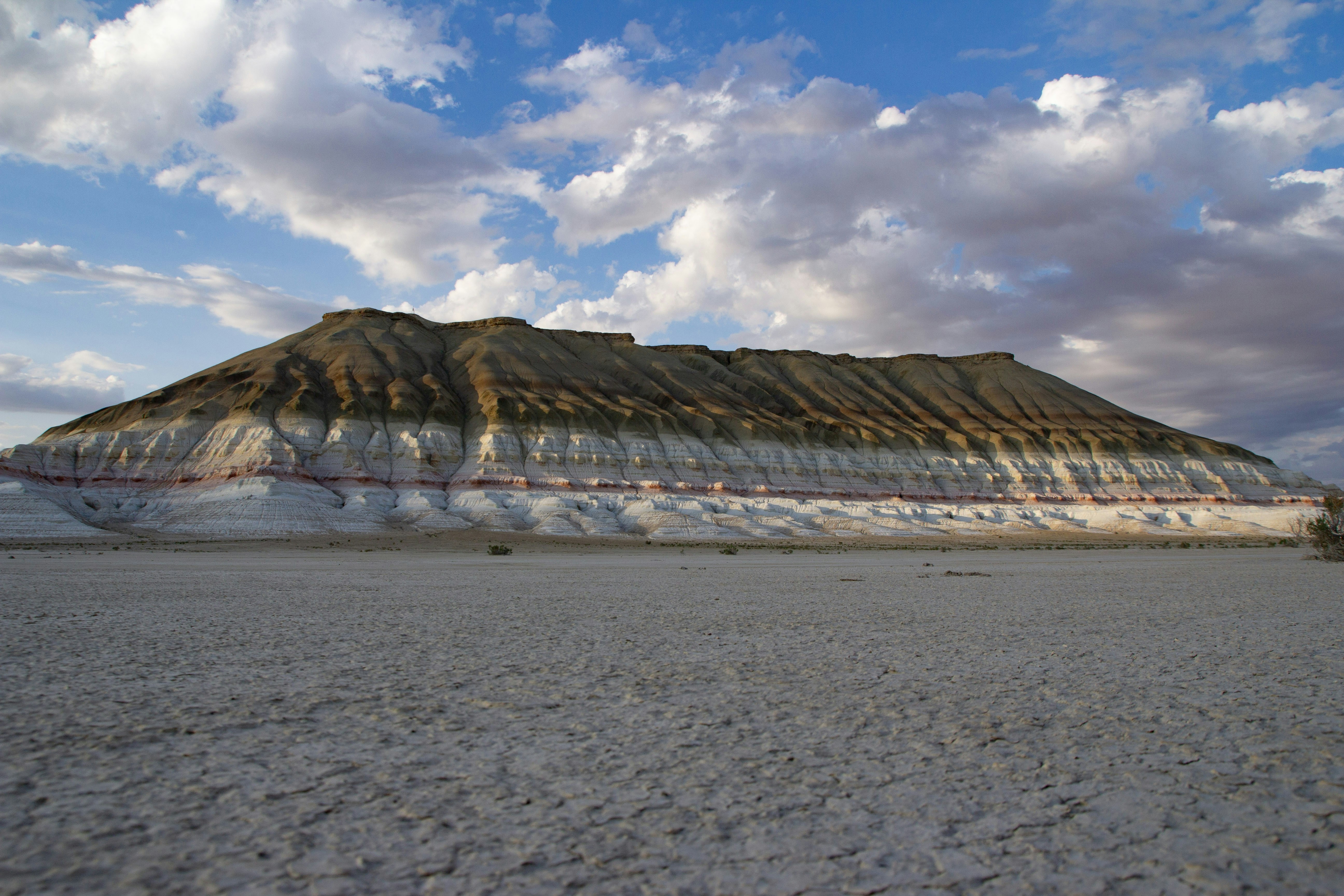 The Layered Silence of Nature's Palette