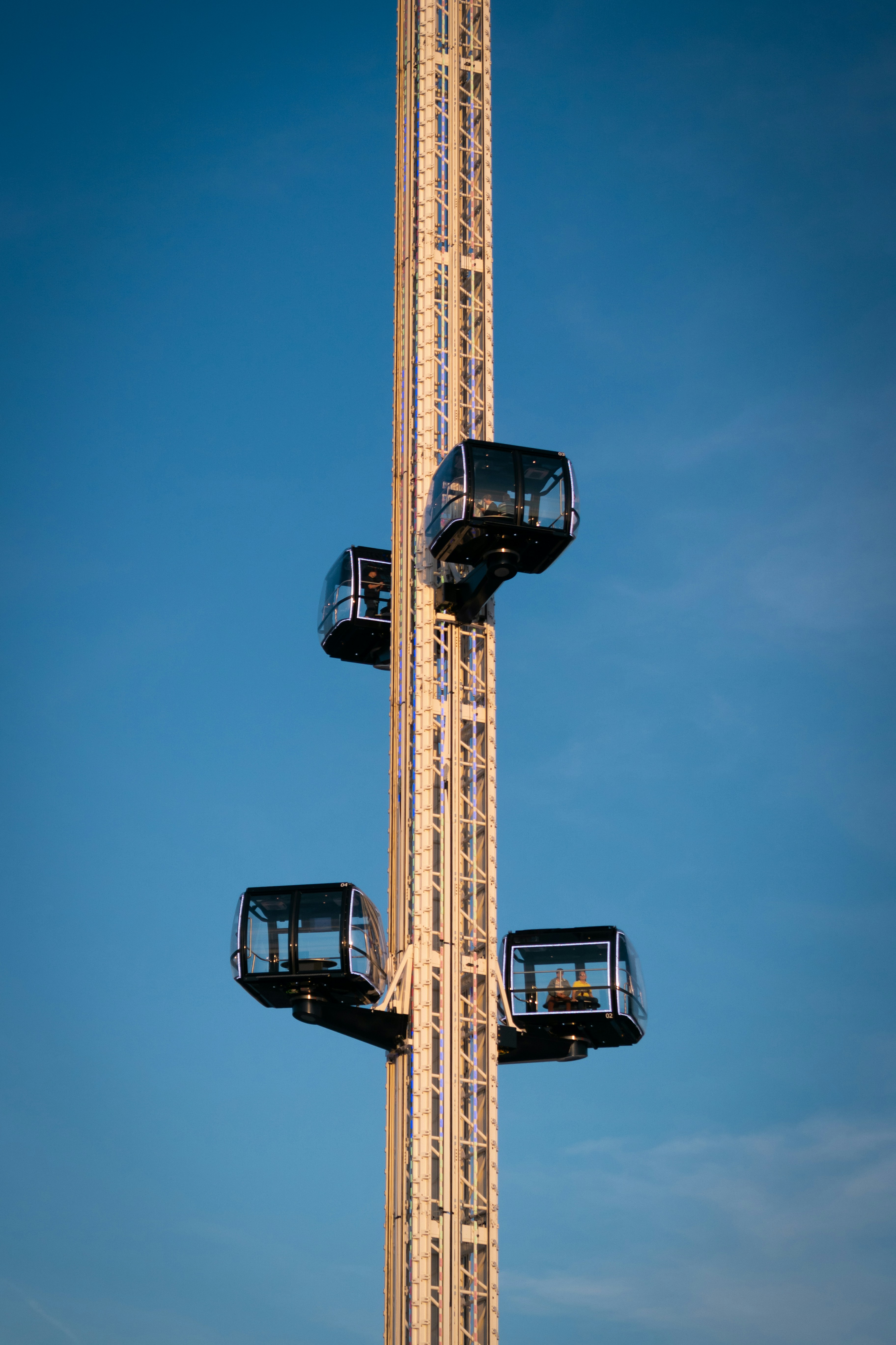 Elevated Perspectives: A Journey Skyward