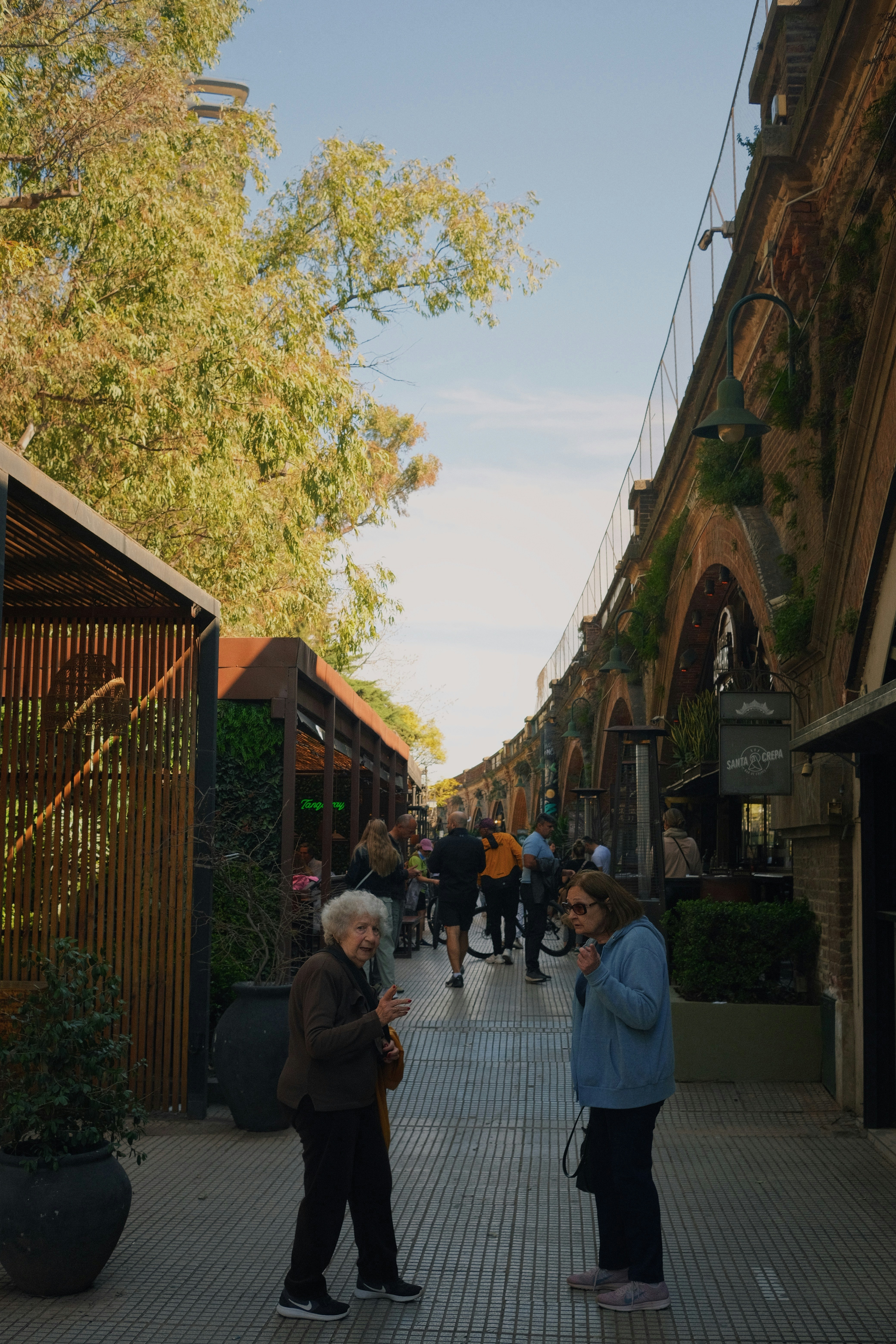 A Stroll Through Urban Serenity