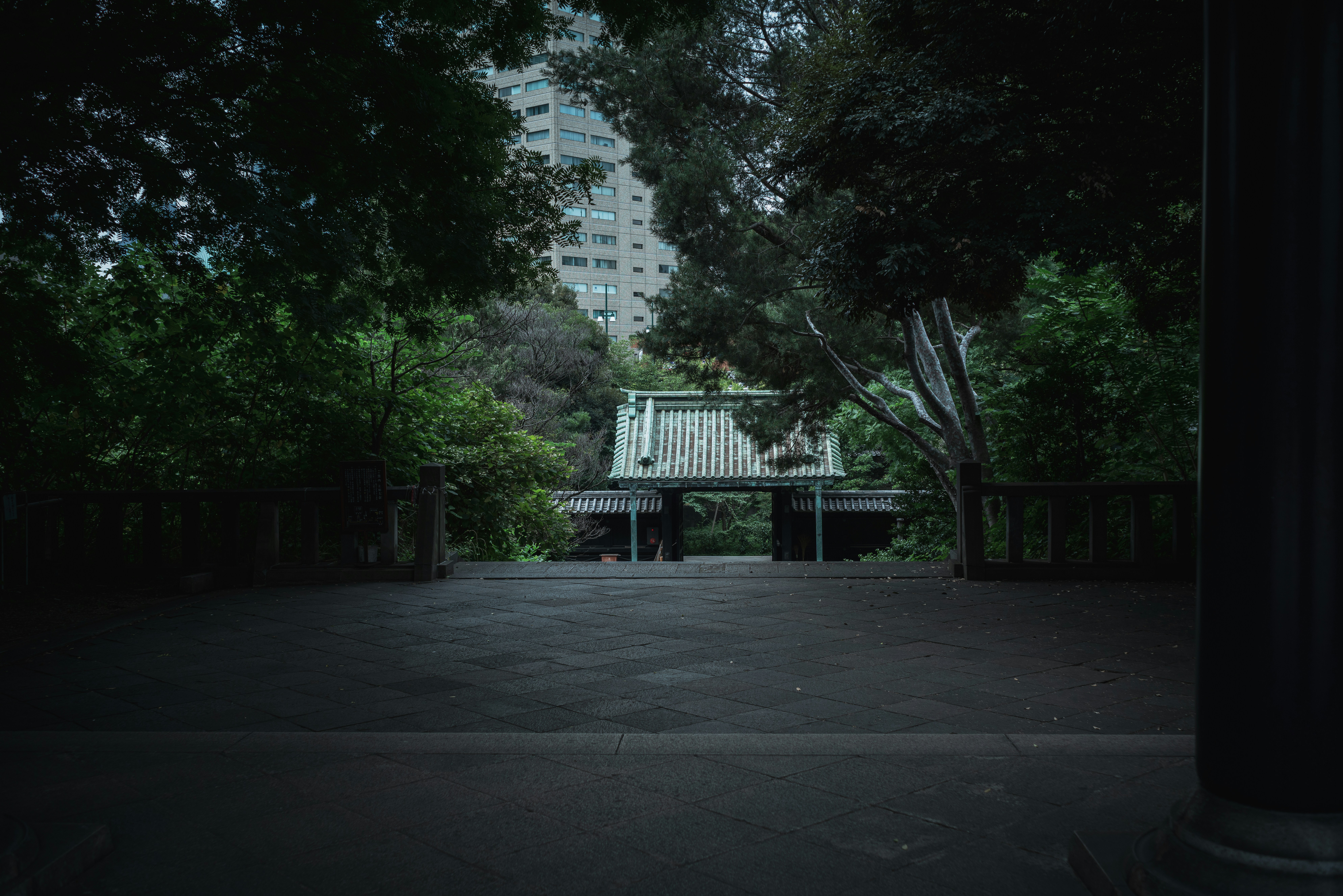 Whispers of the Past: A Hidden Sanctuary