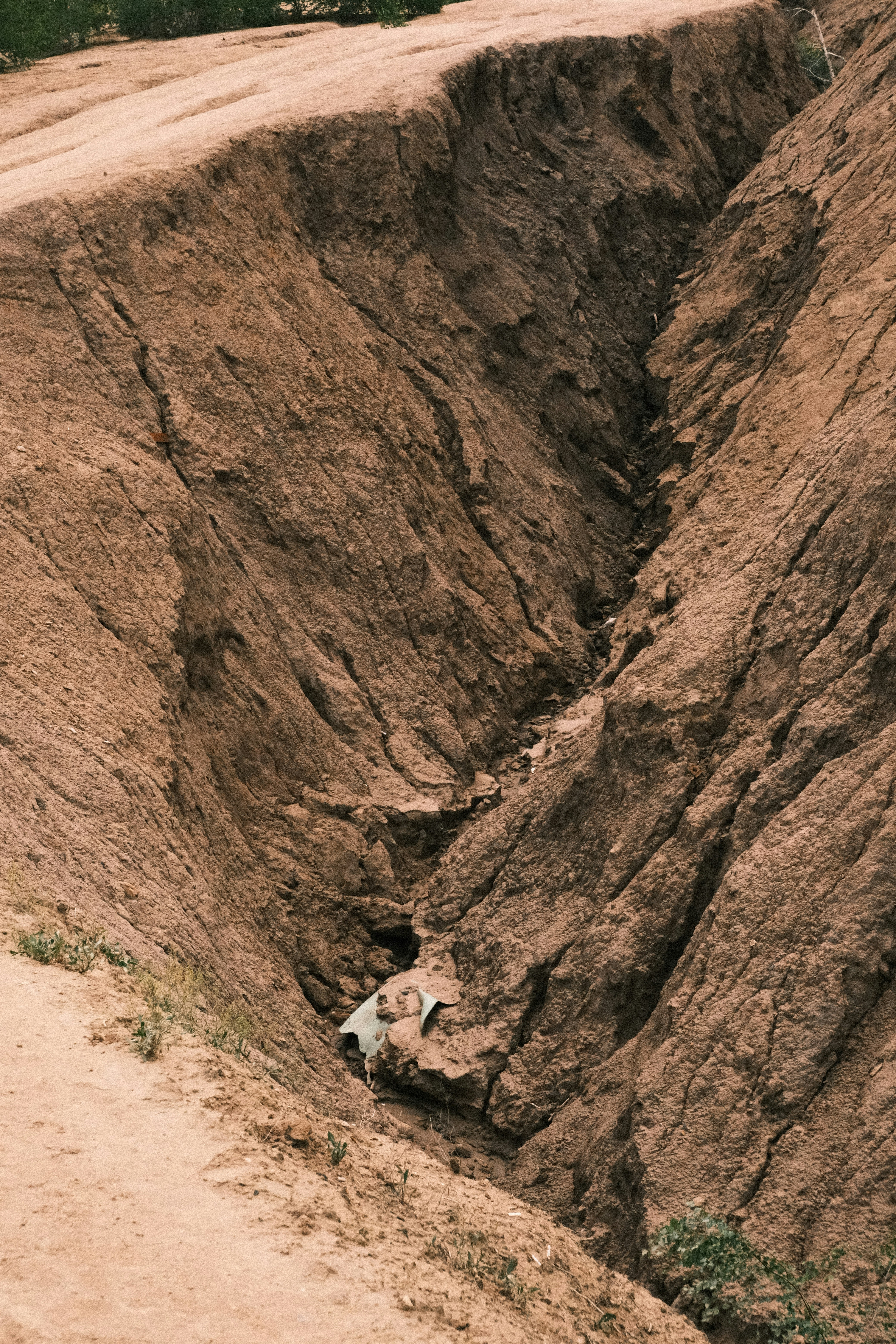 Erosion has carved a deep ravine in the landscape.