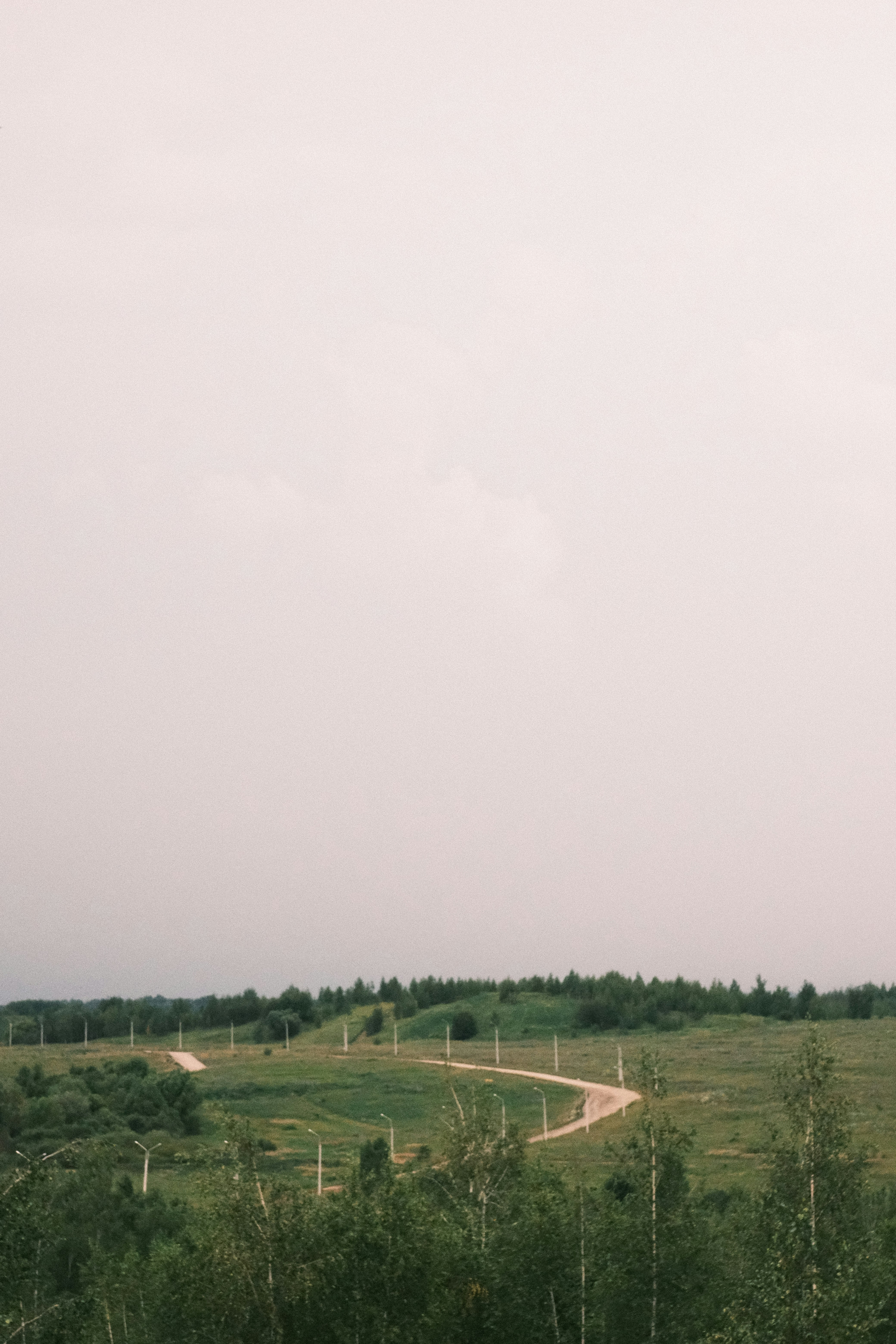 A winding road cuts through a lush, green field.