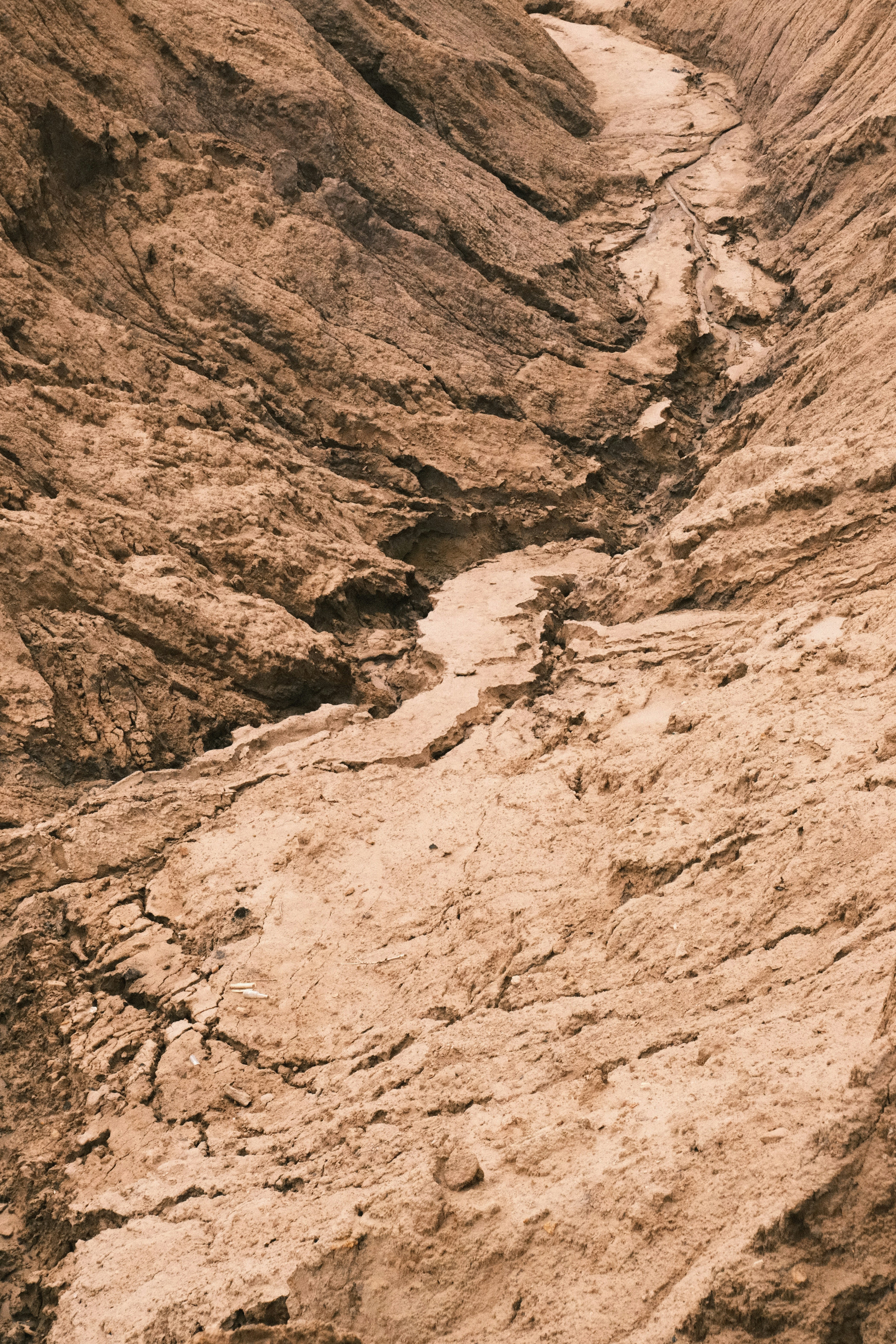 A dry, cracked canyon.
