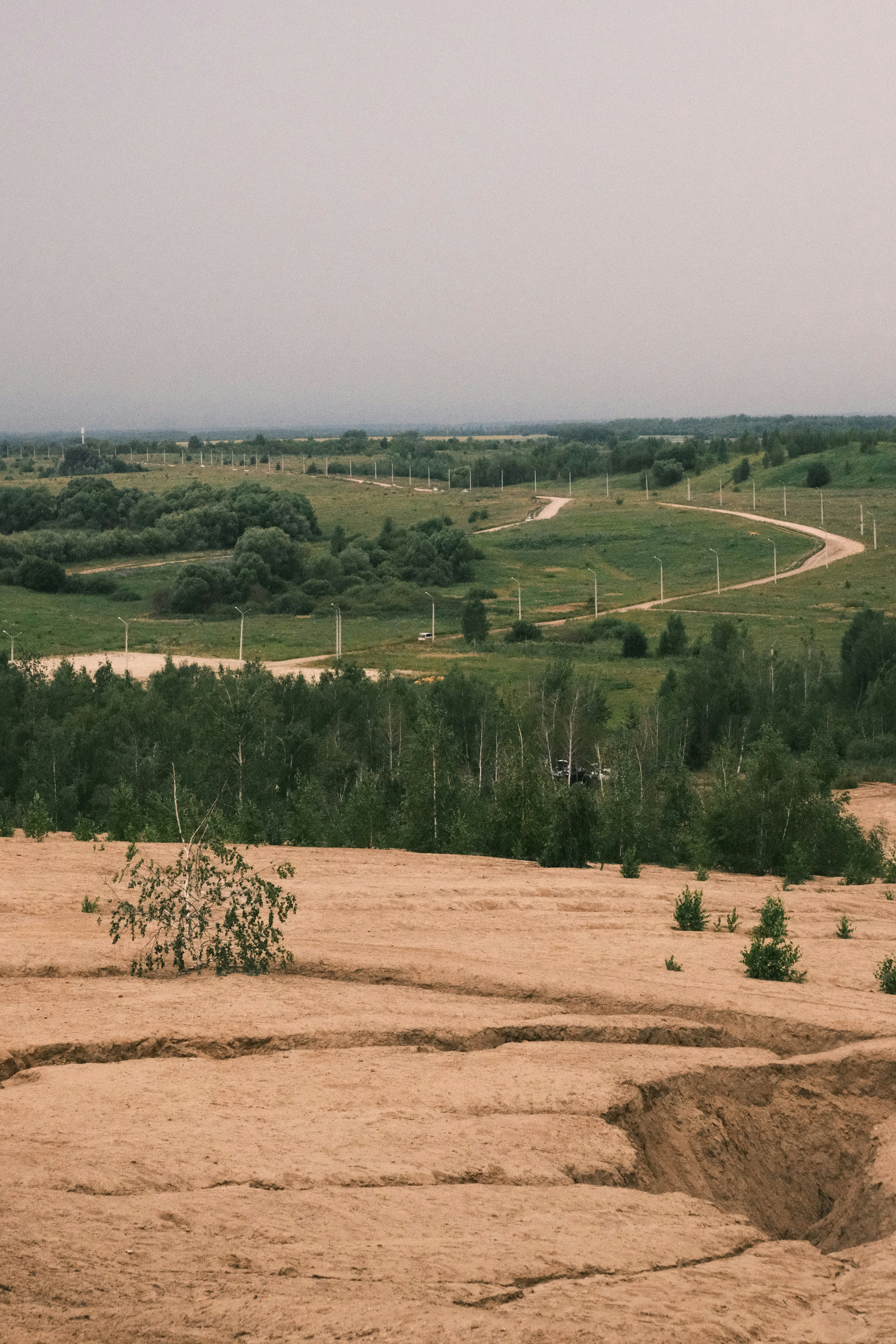A sweeping view of a meandering road surrounded by lush greenery and gentle hills, showcasing the harmony of nature and human infrastructure.
