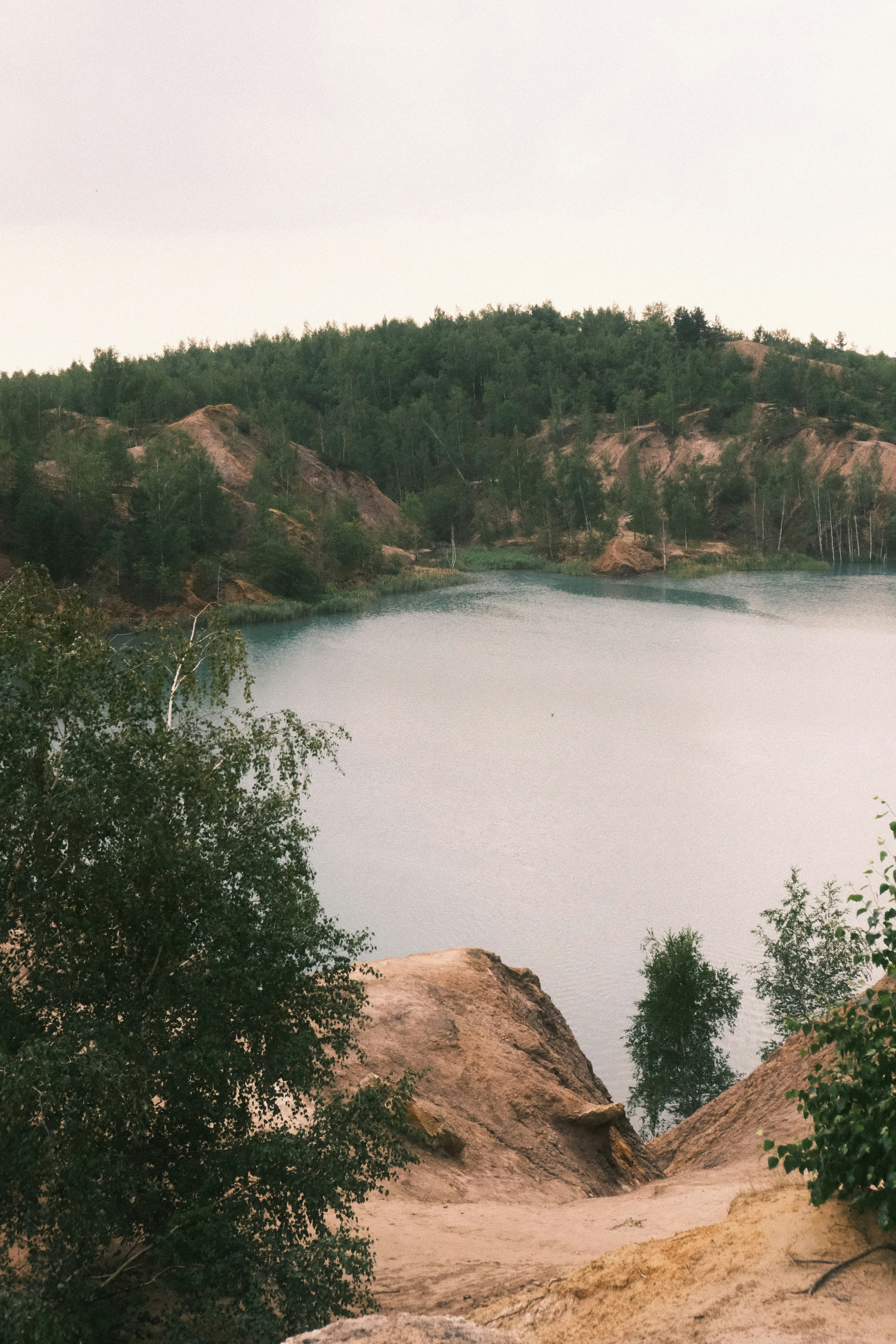 Whispers of Still Waters: A Serene Landscape