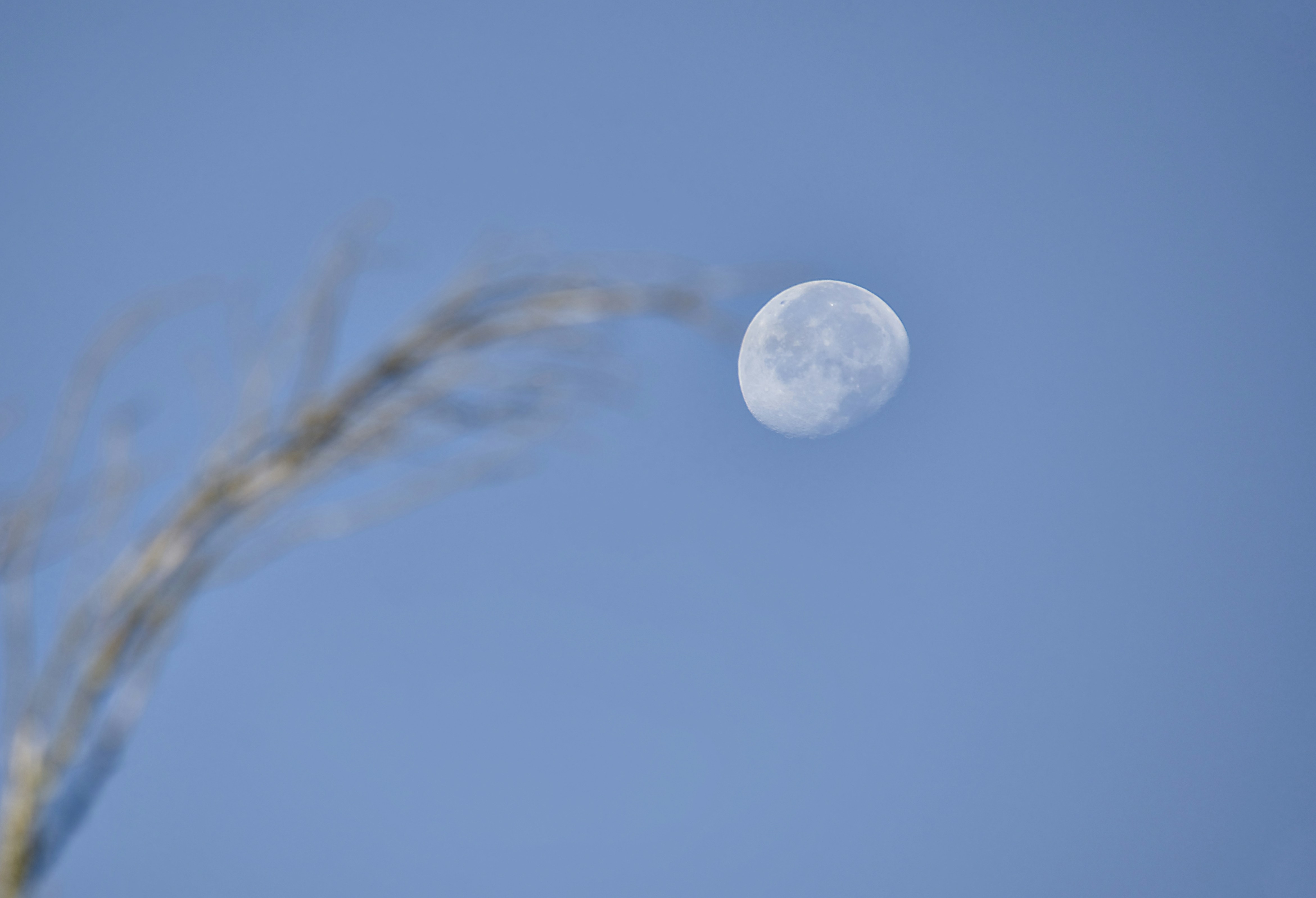 The moon appears in a bright blue sky.