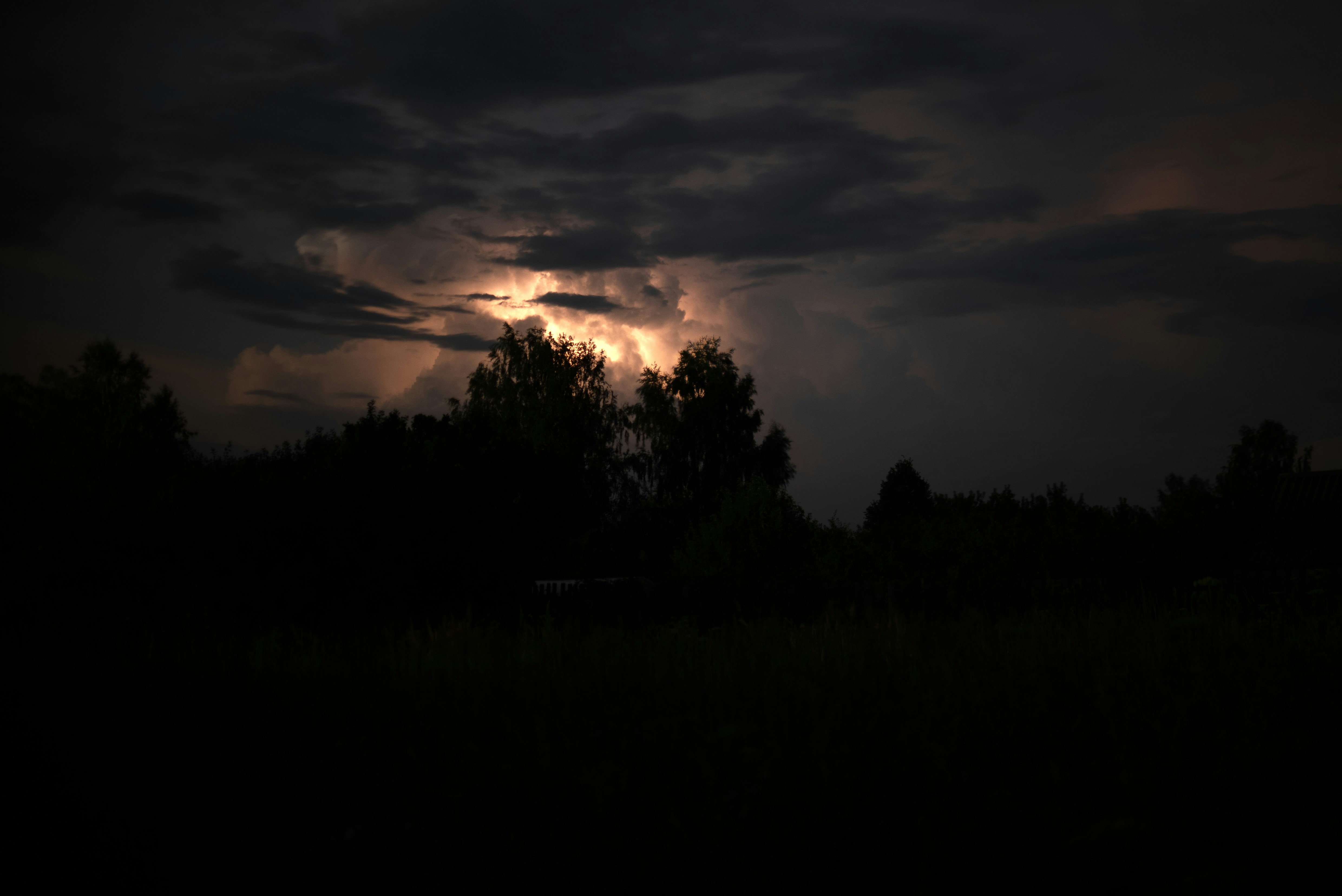 Electric Veins of the Night Sky
