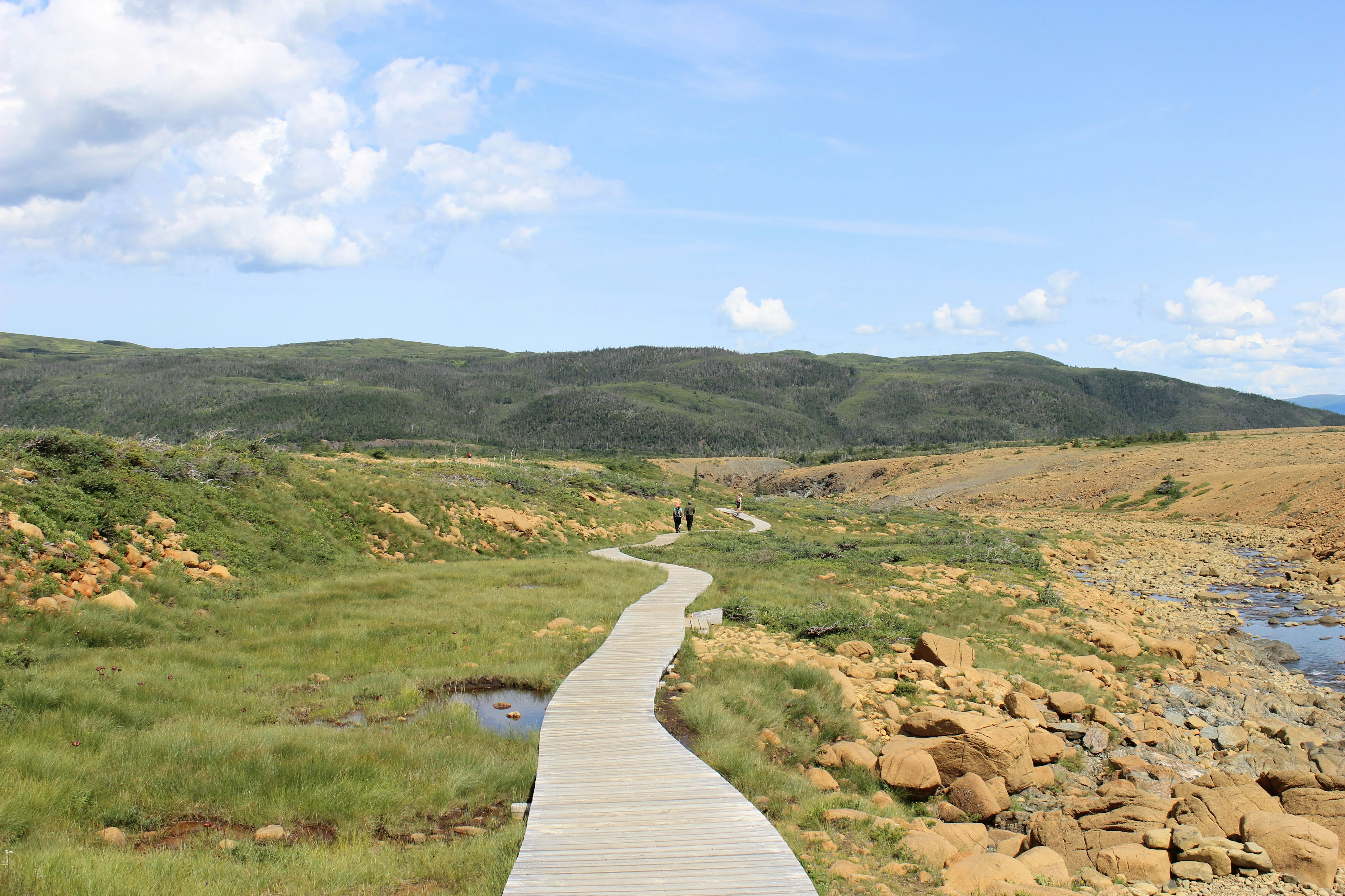 At The Tablelands Trail in Gros Morne National Park near Woody Point, Newfoundland and Labrador. Aug 2023. | A wooden walkway leads through a scenic landscape.