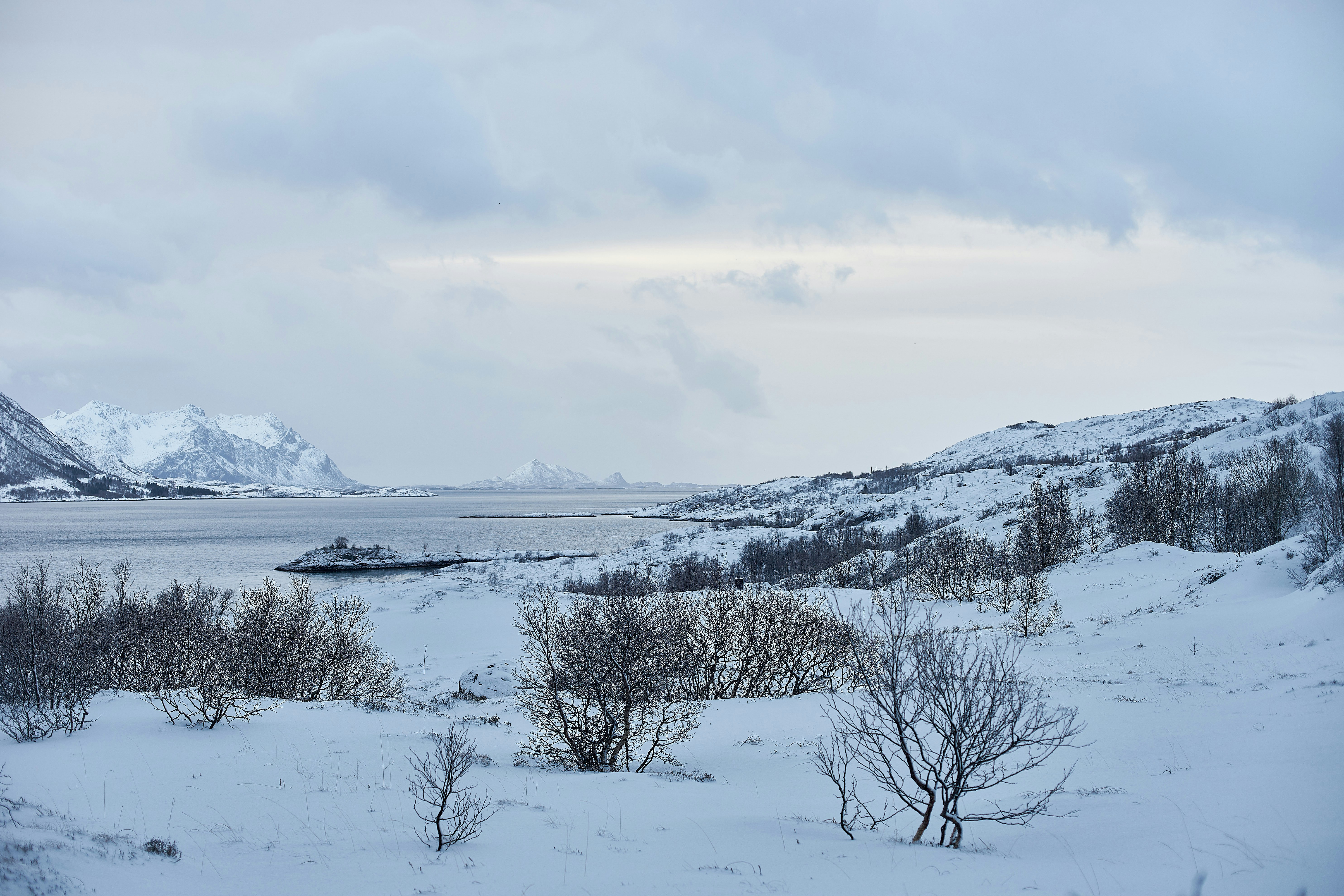 Snowy landscape with water and distant mountains.
